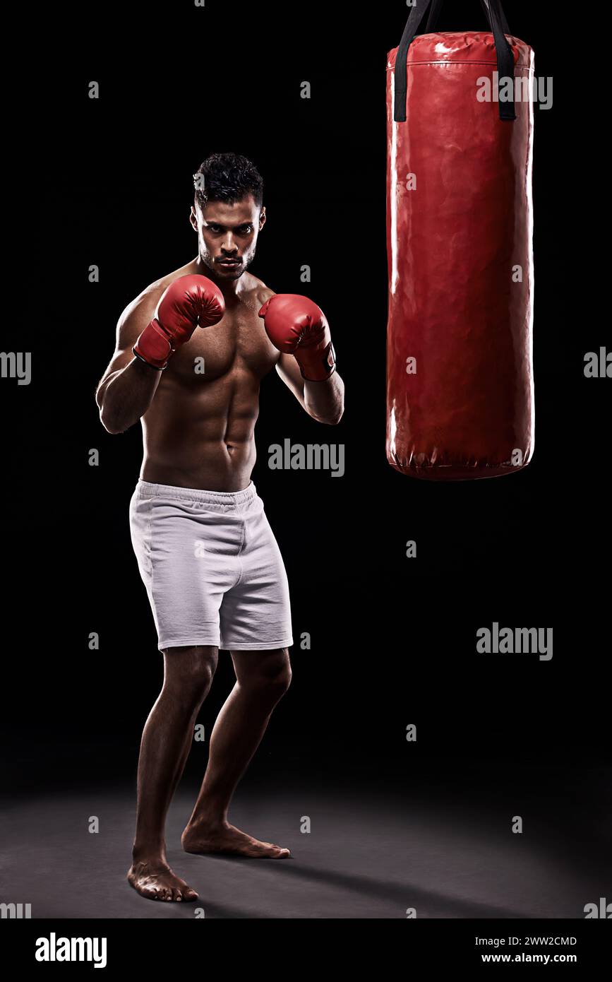 Portrait, boxing bag and gloves for male boxer, studio and athlete on ...
