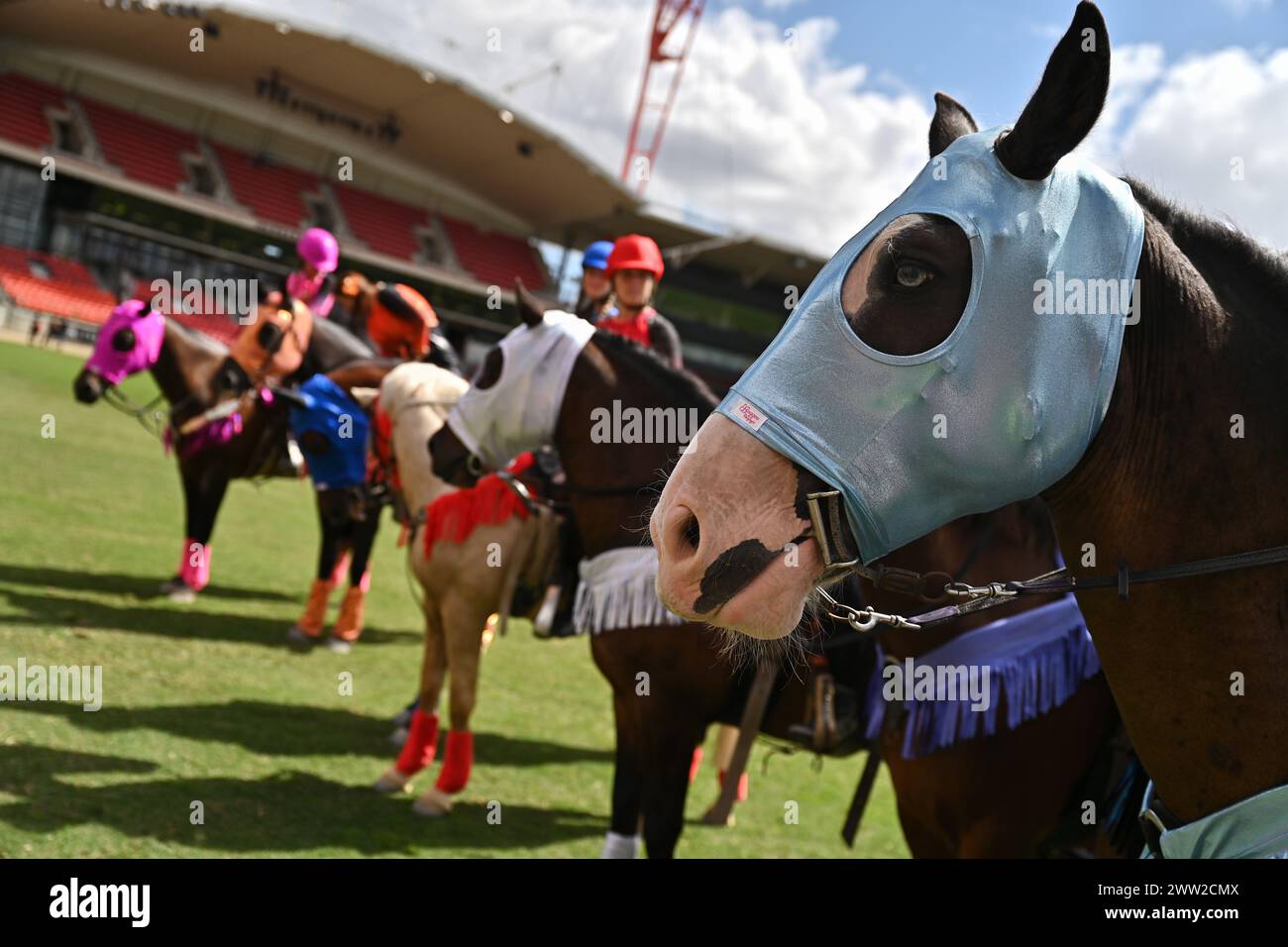 Sydney, Australia. 21st Mar, 2024. Horses from the HSL Trick Riding ...
