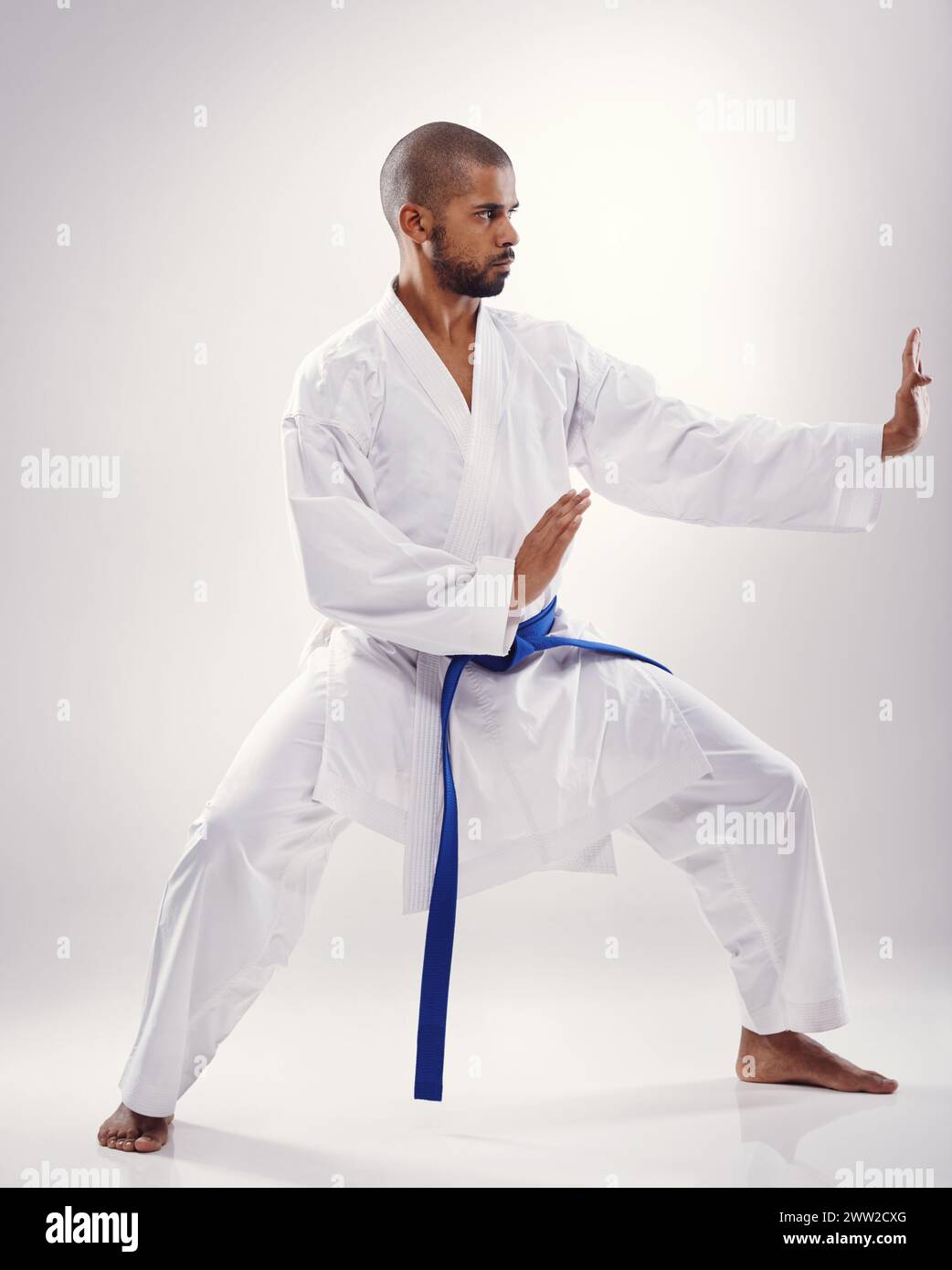 Studio, karate and black man with martial arts, training and blue belt ...