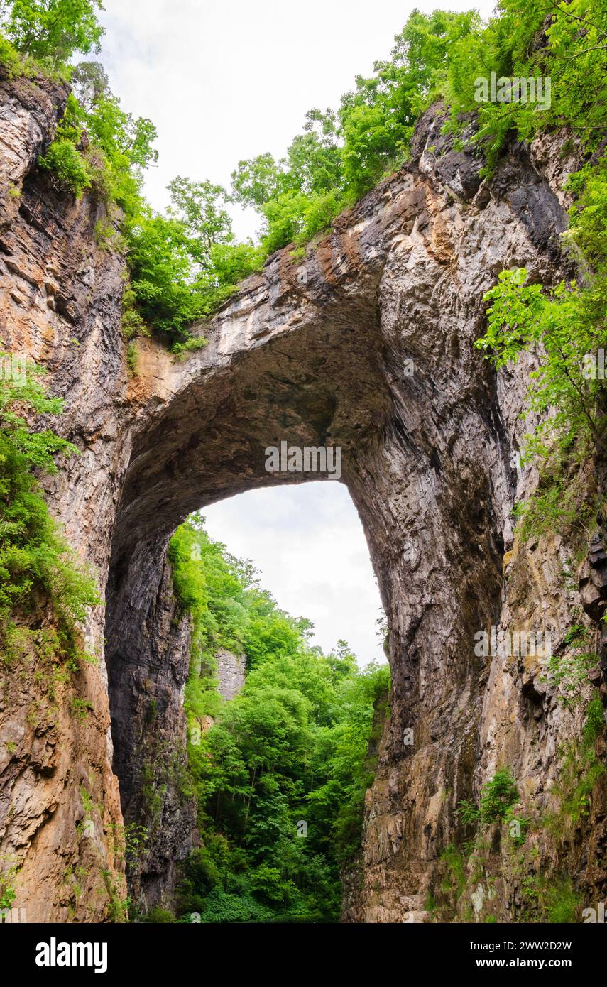 Natural Bridge in Rockbridge County, Virginia, United States Stock ...