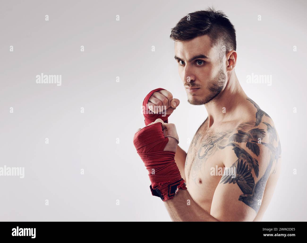 Boxer pose hi-res stock photography and images - Alamy