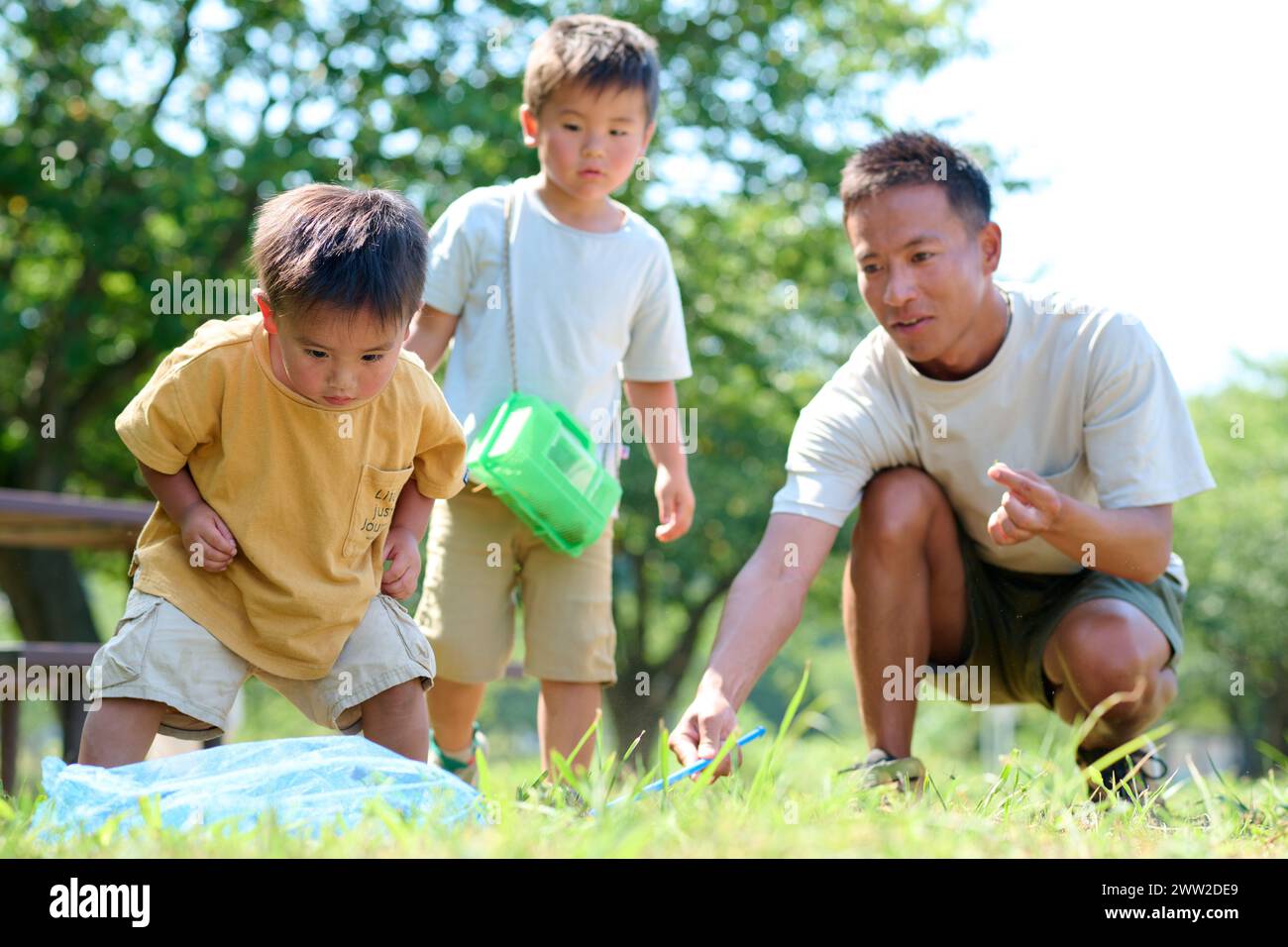A man and kids playing in the grass Stock Photo - Alamy