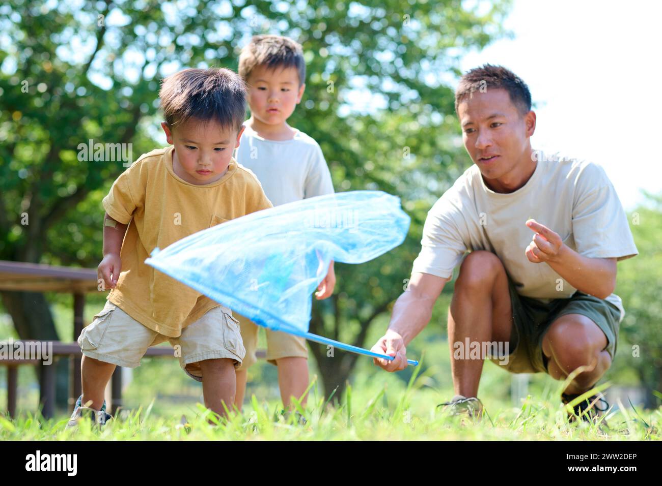Boy butterfly net grass hi-res stock photography and images - Alamy