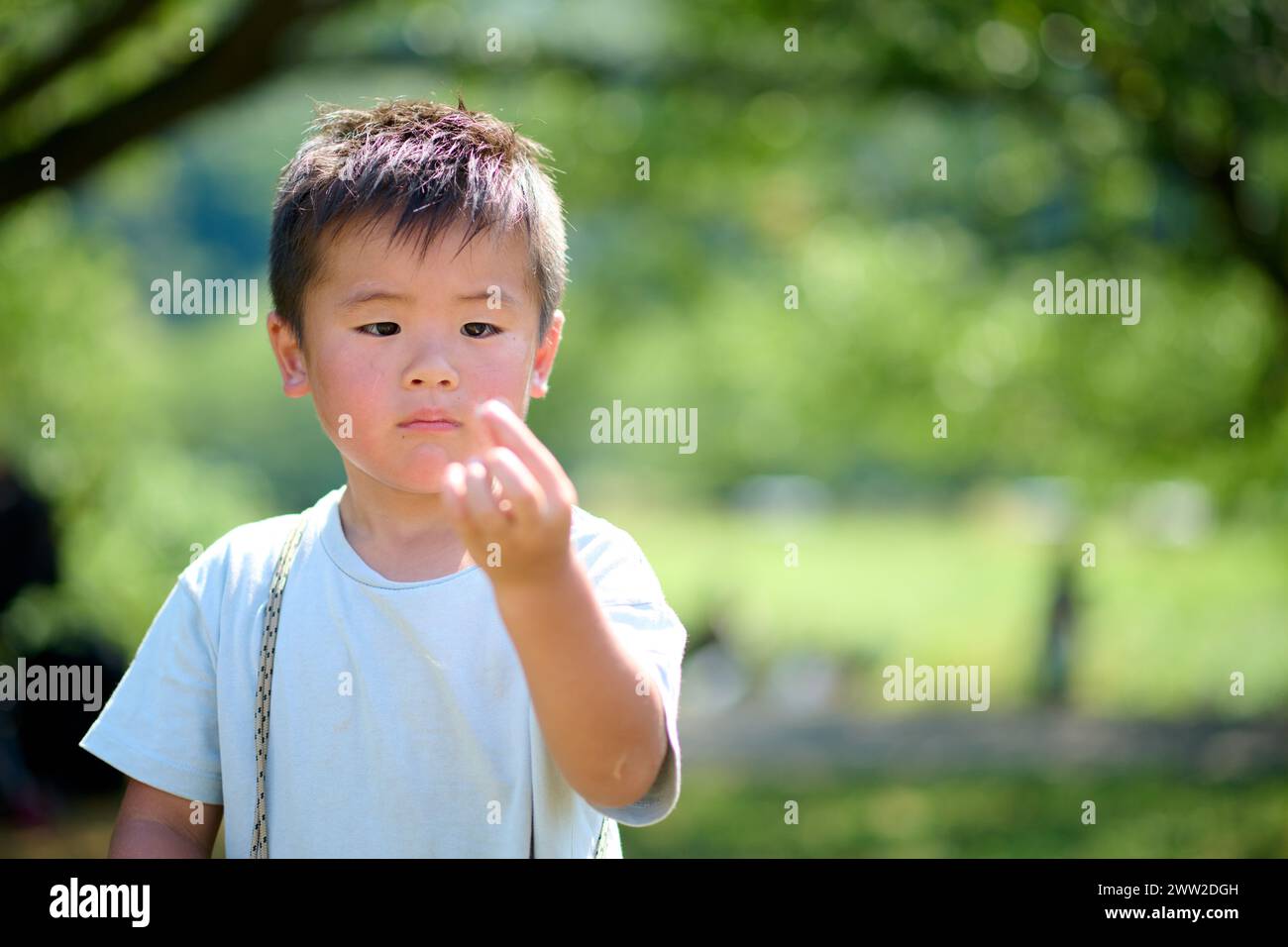 A young boy pointing at something Stock Photo - Alamy