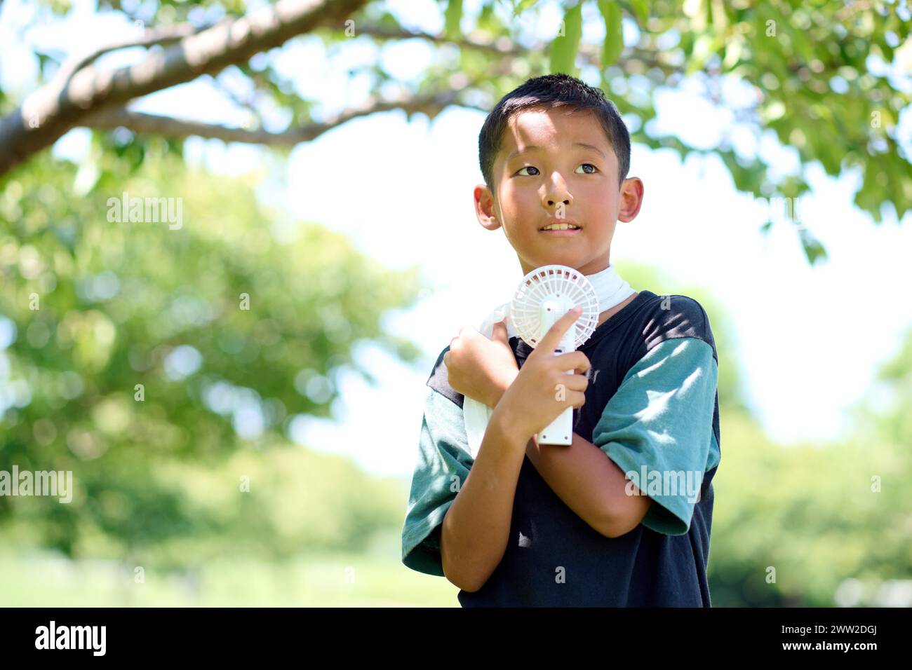 A young boy holding a fan in his hand Stock Photo - Alamy