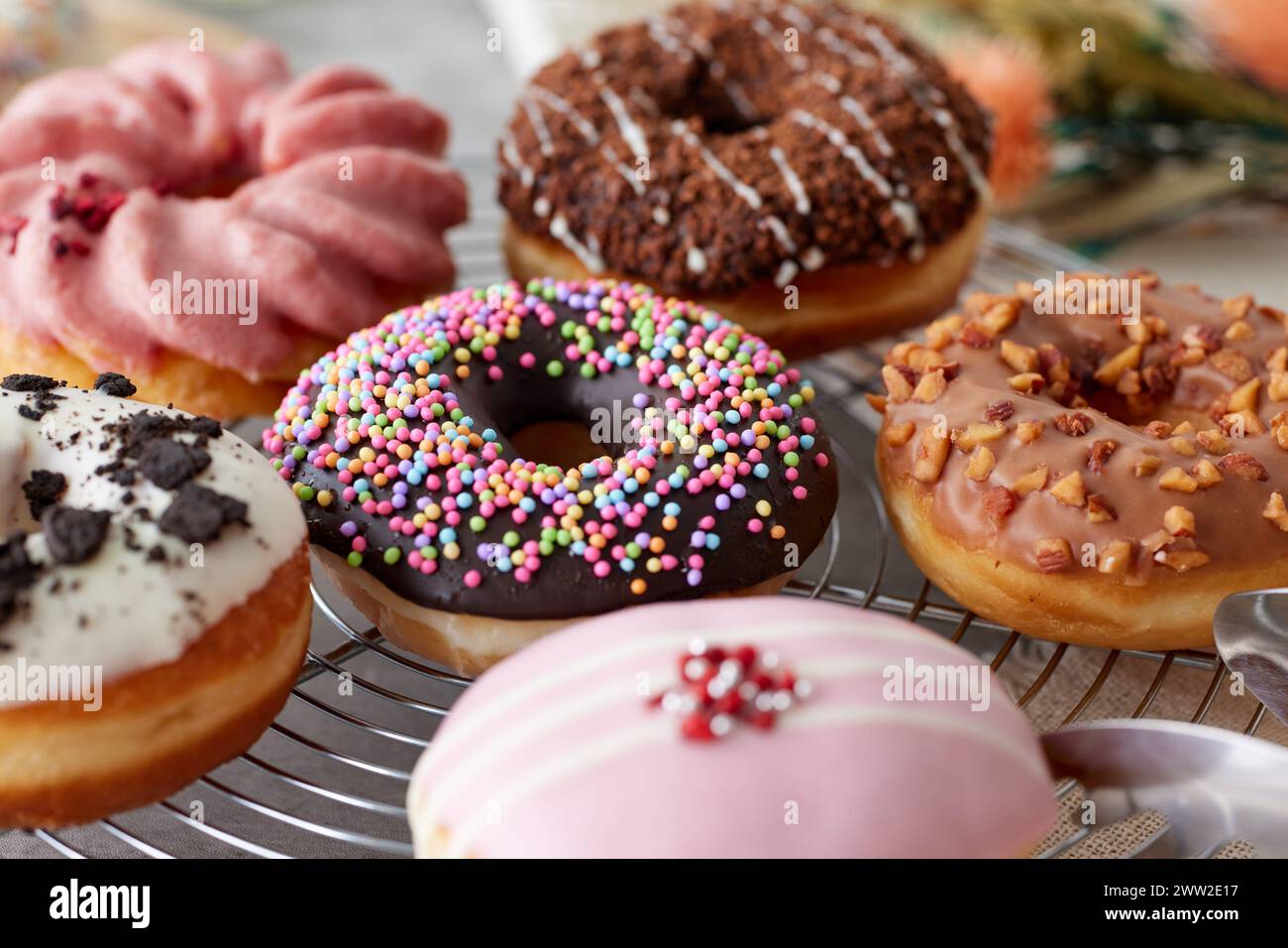 Different cookware hi-res stock photography and images - Alamy