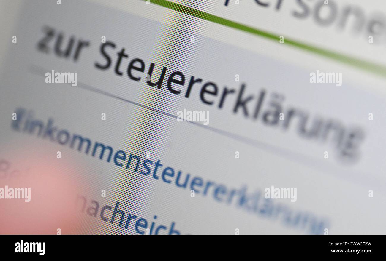 Stuttgart, Germany. 19th Mar, 2024. Entering the Elster tax portal ...