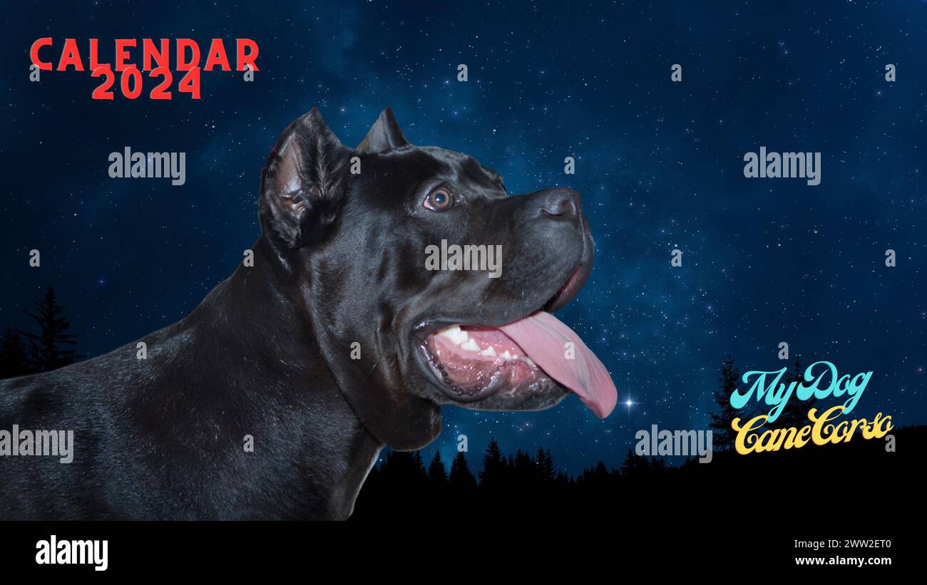 Cane corso art hi-res stock photography and images - Alamy