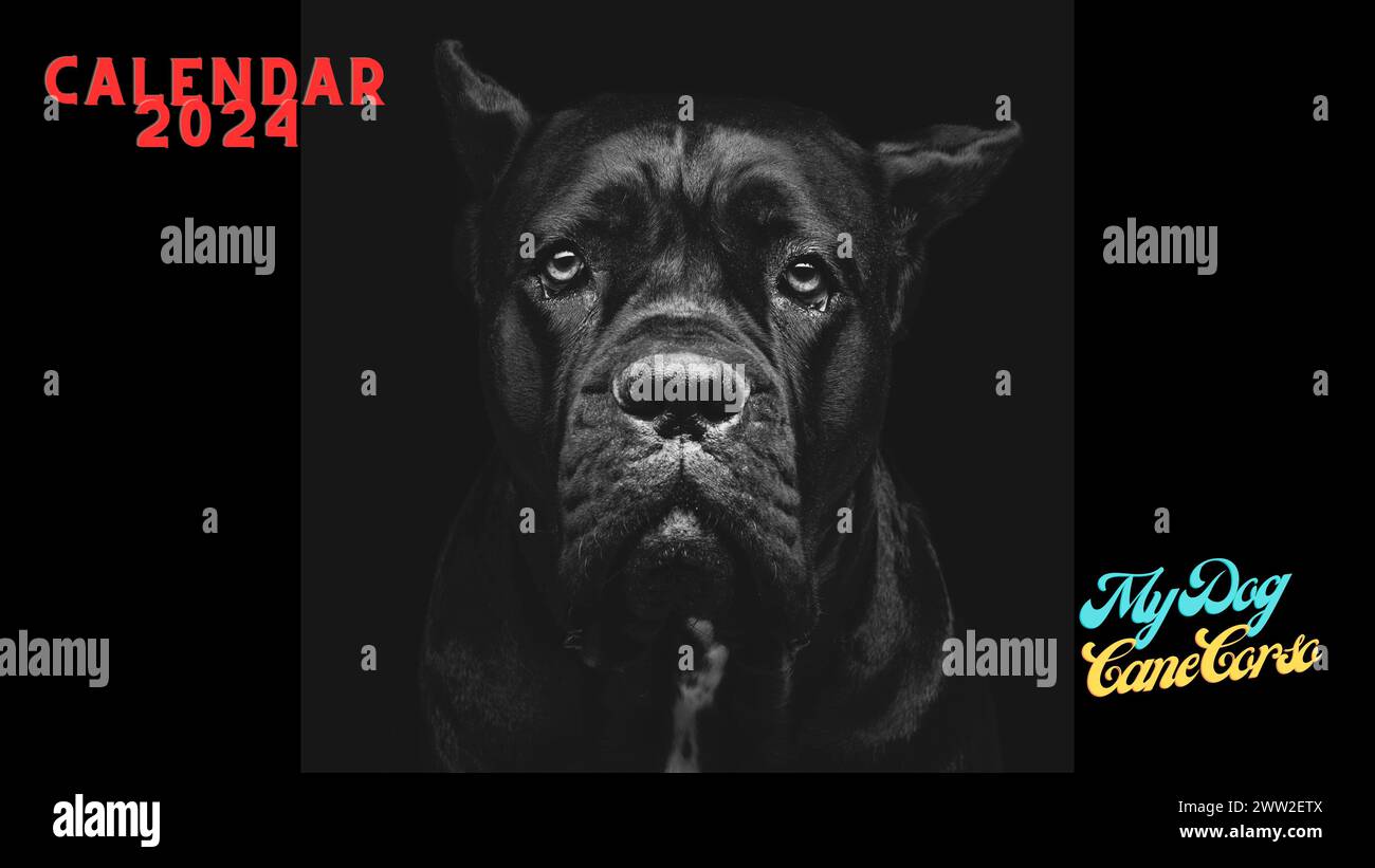 Cane corso art hi-res stock photography and images - Alamy