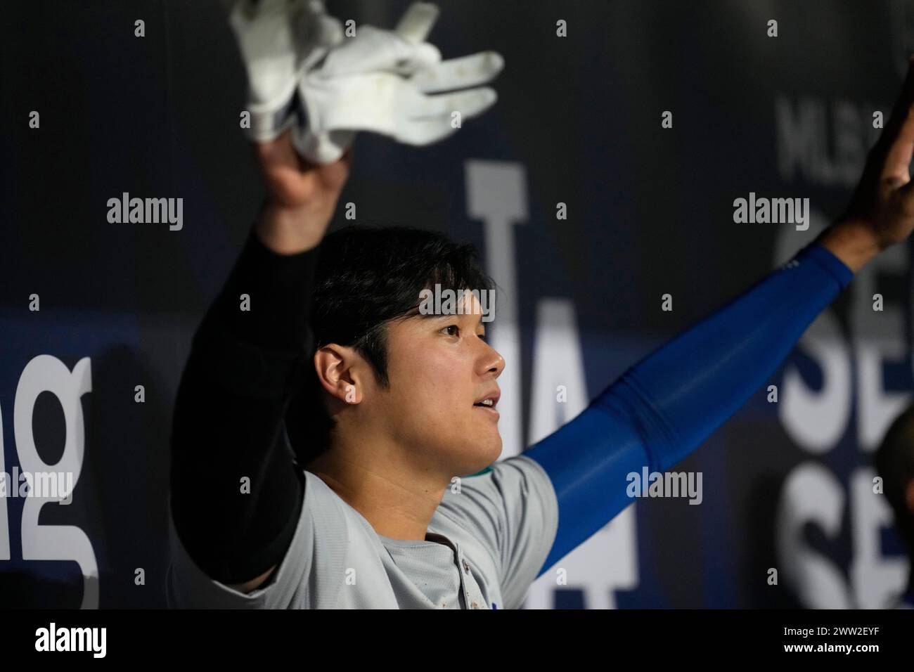 Los Angeles Dodgers designated hitter Shohei Ohtani cheers from the ...