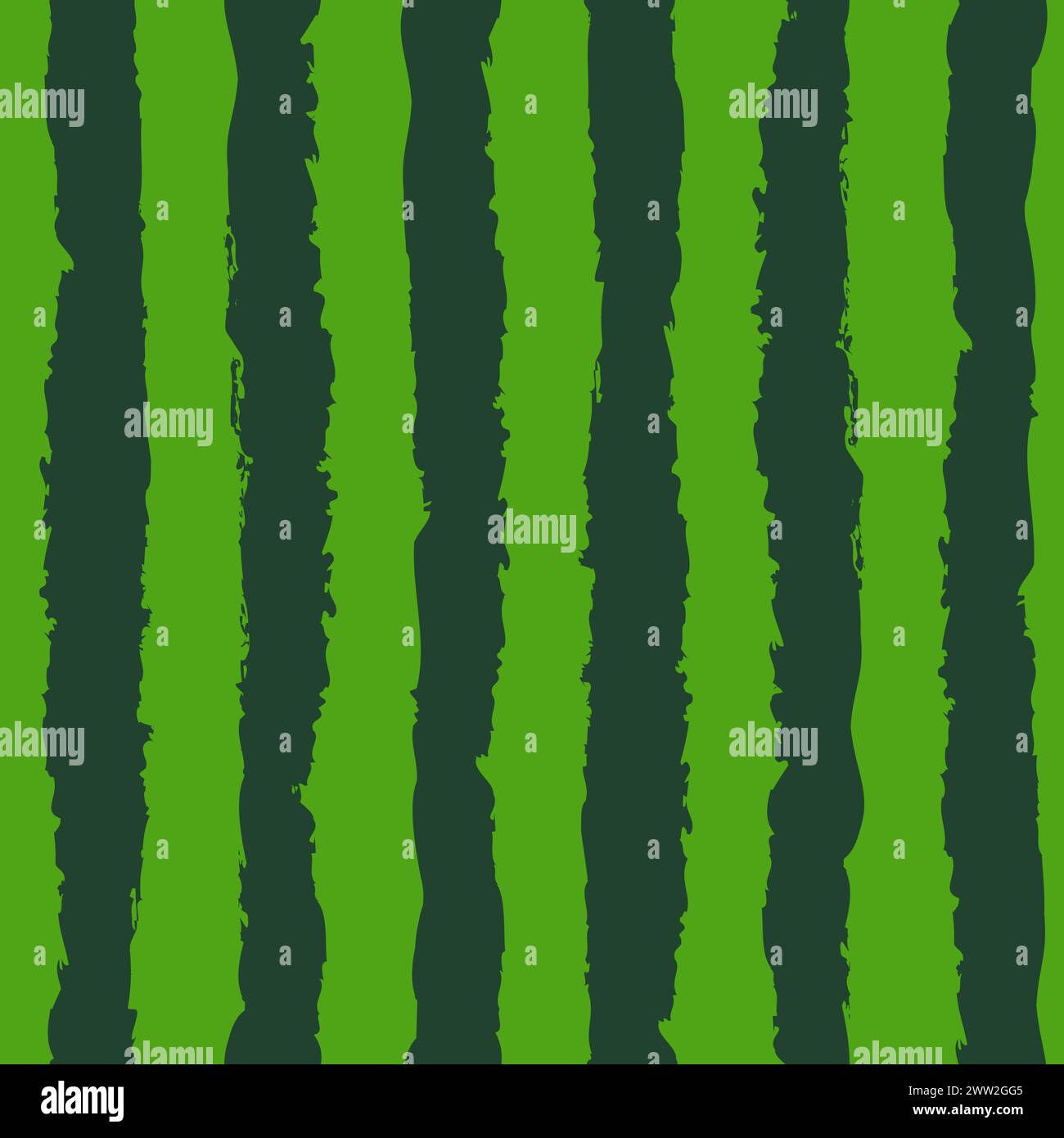 Watermelon skin striped seamless pattern. Watermelon peel background ...