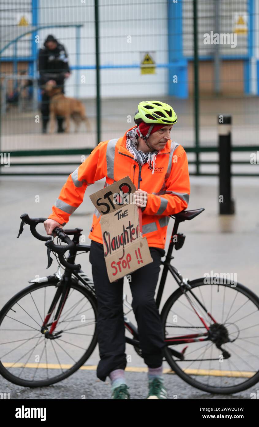 A protester with his bicycle stands on the demarcation yellow line that ...