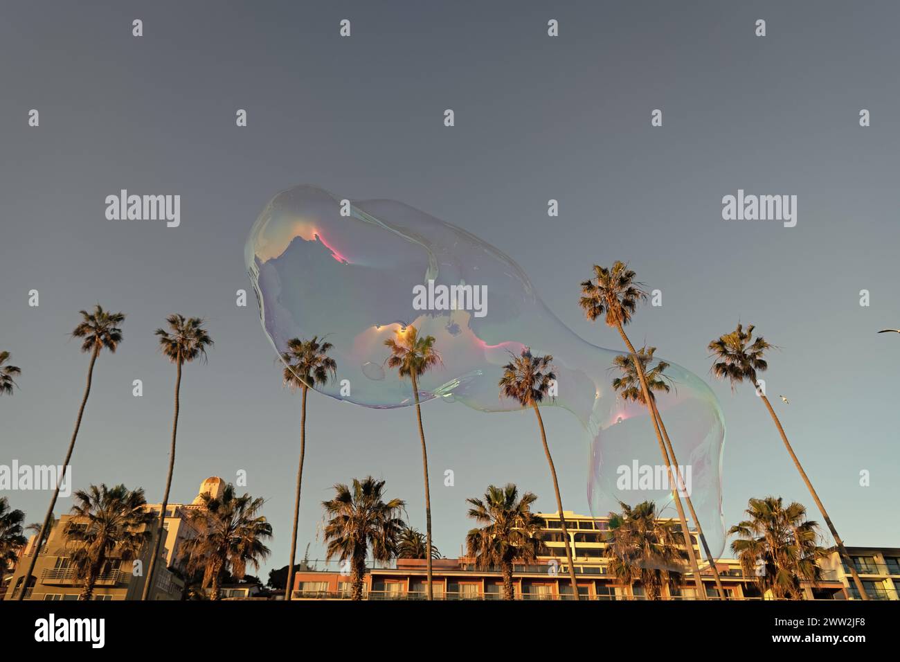 soap bubble blower fly in sky. urban landscape. bubble among palm trees ...