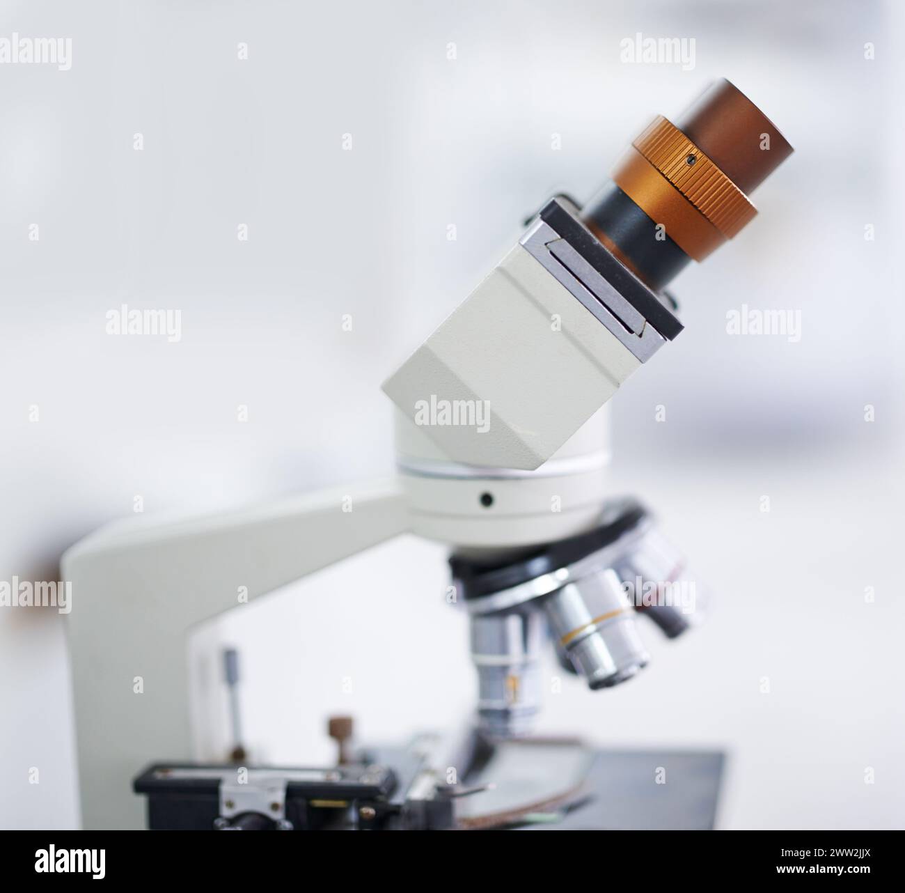 Study microscopic organisms hi-res stock photography and images - Alamy