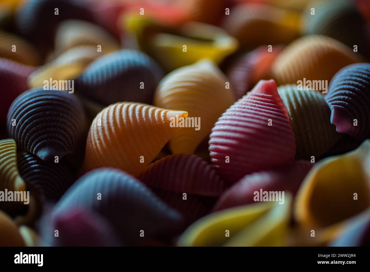 Multicolored italian shell shaped raw pasta decorative background for ...