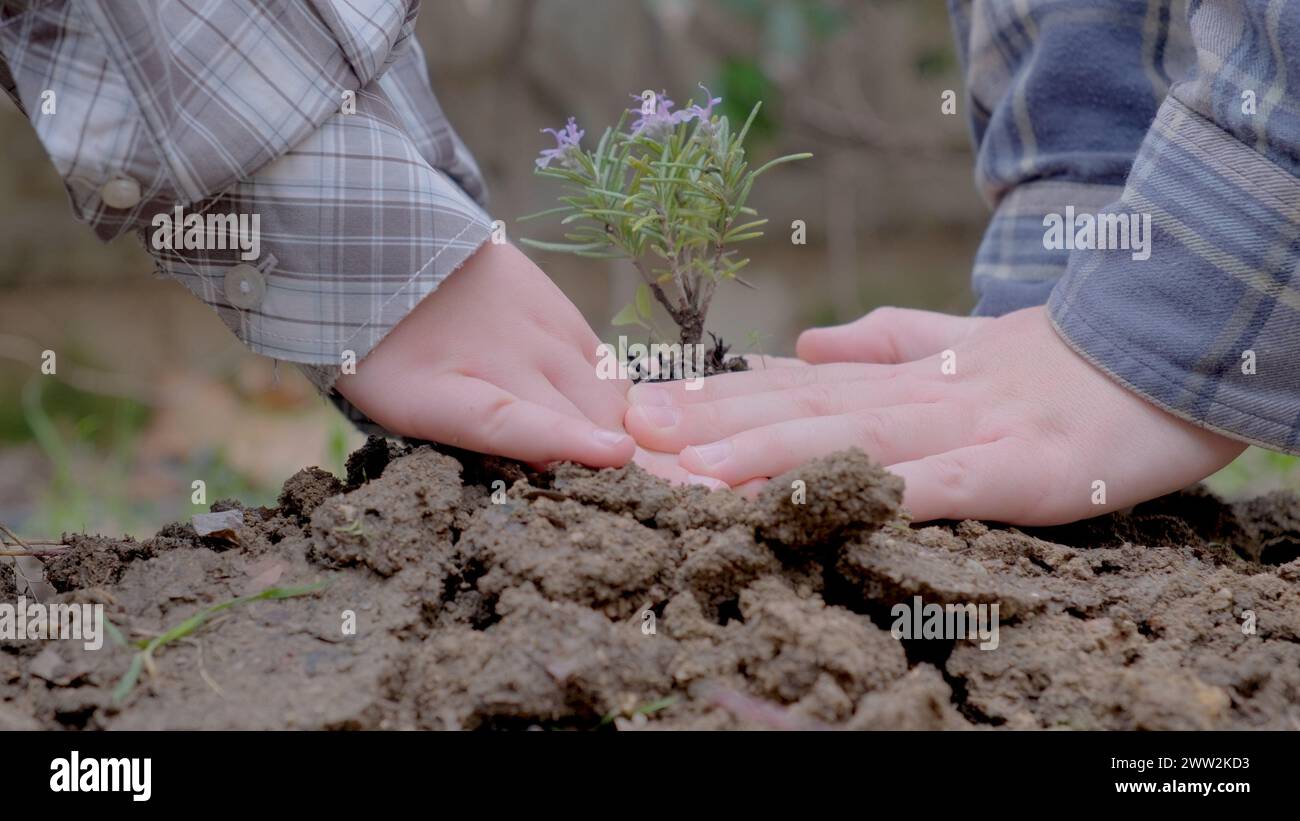 Boy planting a new tree, concept Save the Earth, save the world, save ...