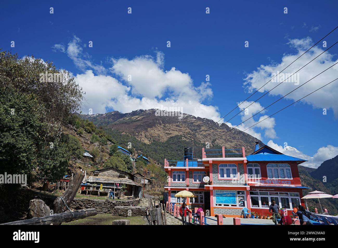 Exterior architecture and building design of Guest house among natural ...