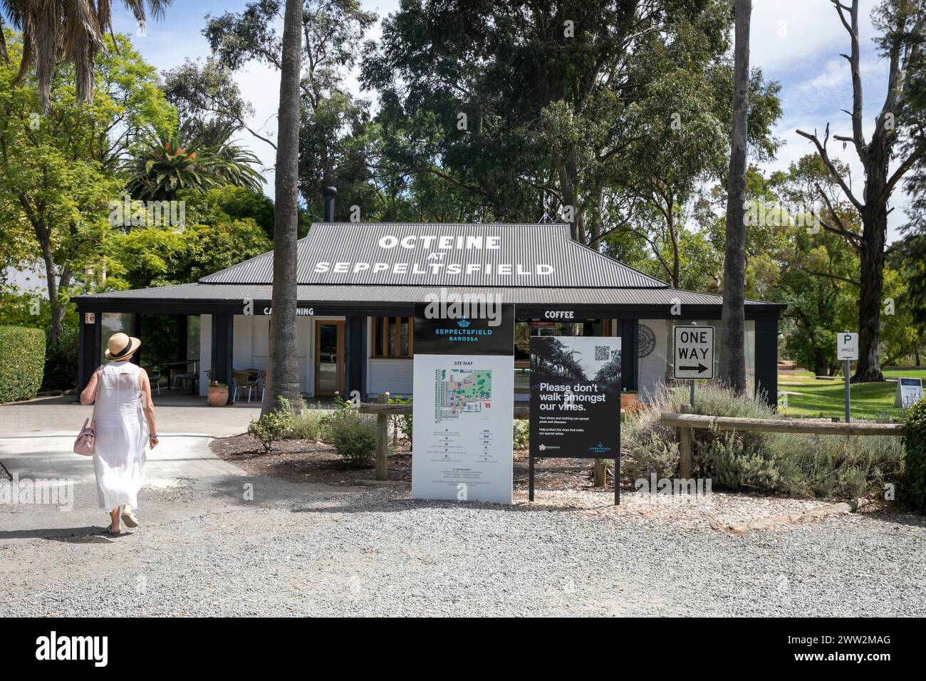 Barossa Valley, Octeine Cafe and coffee shop at Seppeltsfield wine ...