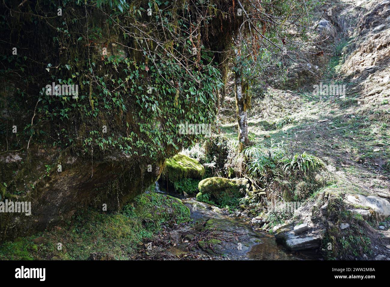 Natural landscape of green mountain range with waterfall along trekking ...