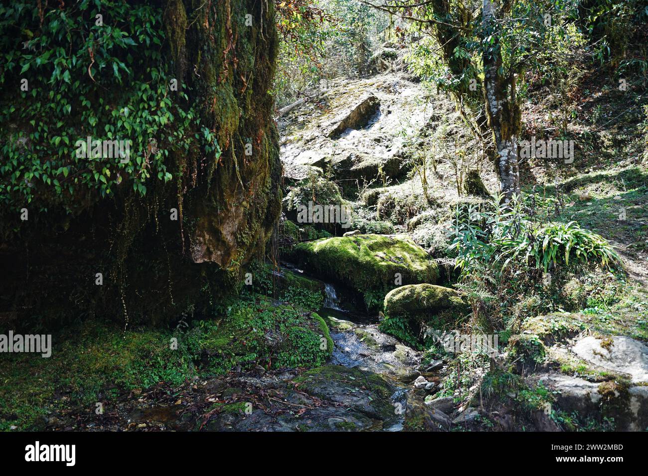 Natural landscape of green mountain range with waterfall along trekking ...