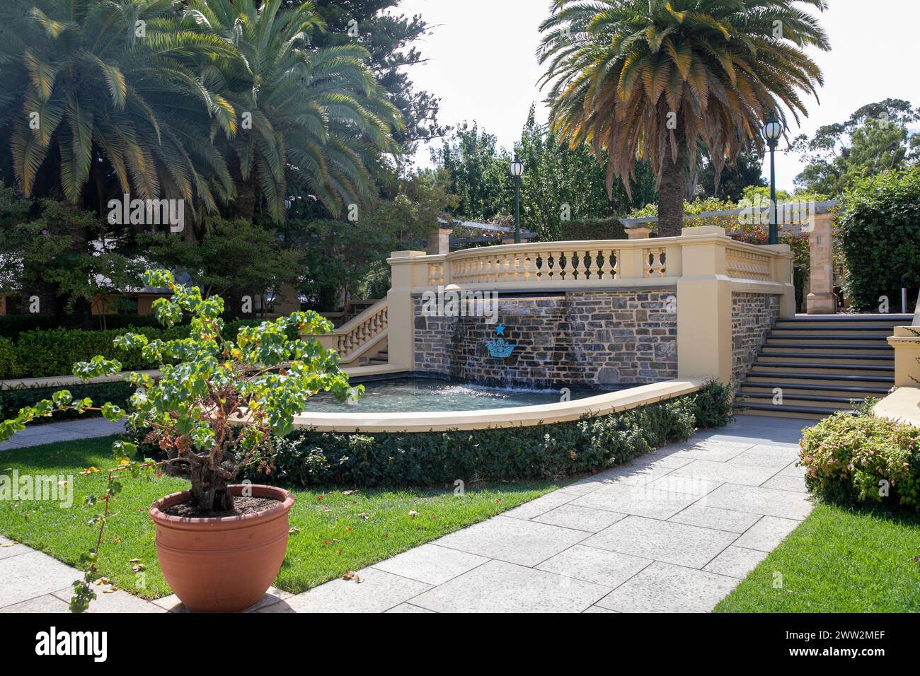 Palm wines hi-res stock photography and images - Alamy