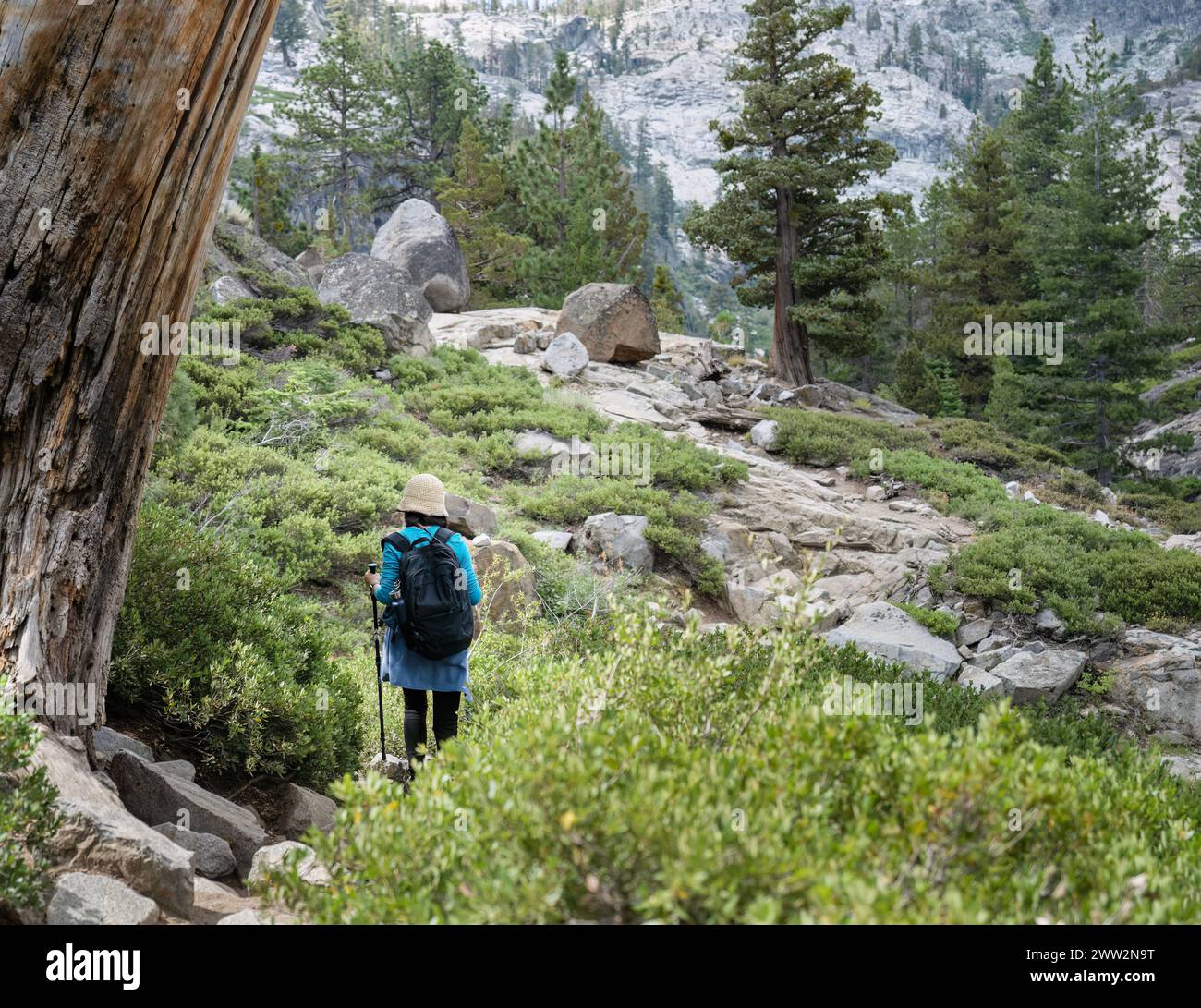 Woman with eagle hi-res stock photography and images - Alamy
