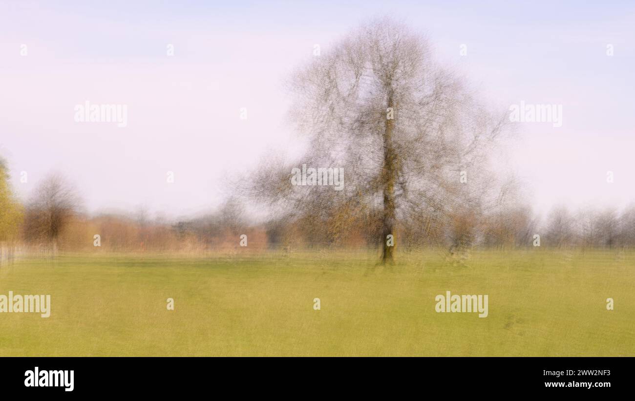 Intentional camera movement icm tree hi-res stock photography and ...