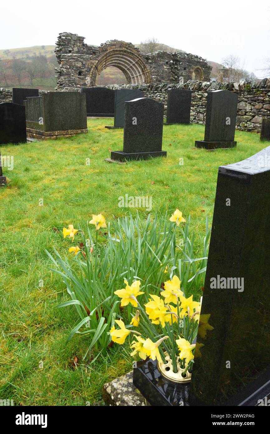 Strata Florida Abbey is a Grand medieval abbey in mid Wales UK Stock ...