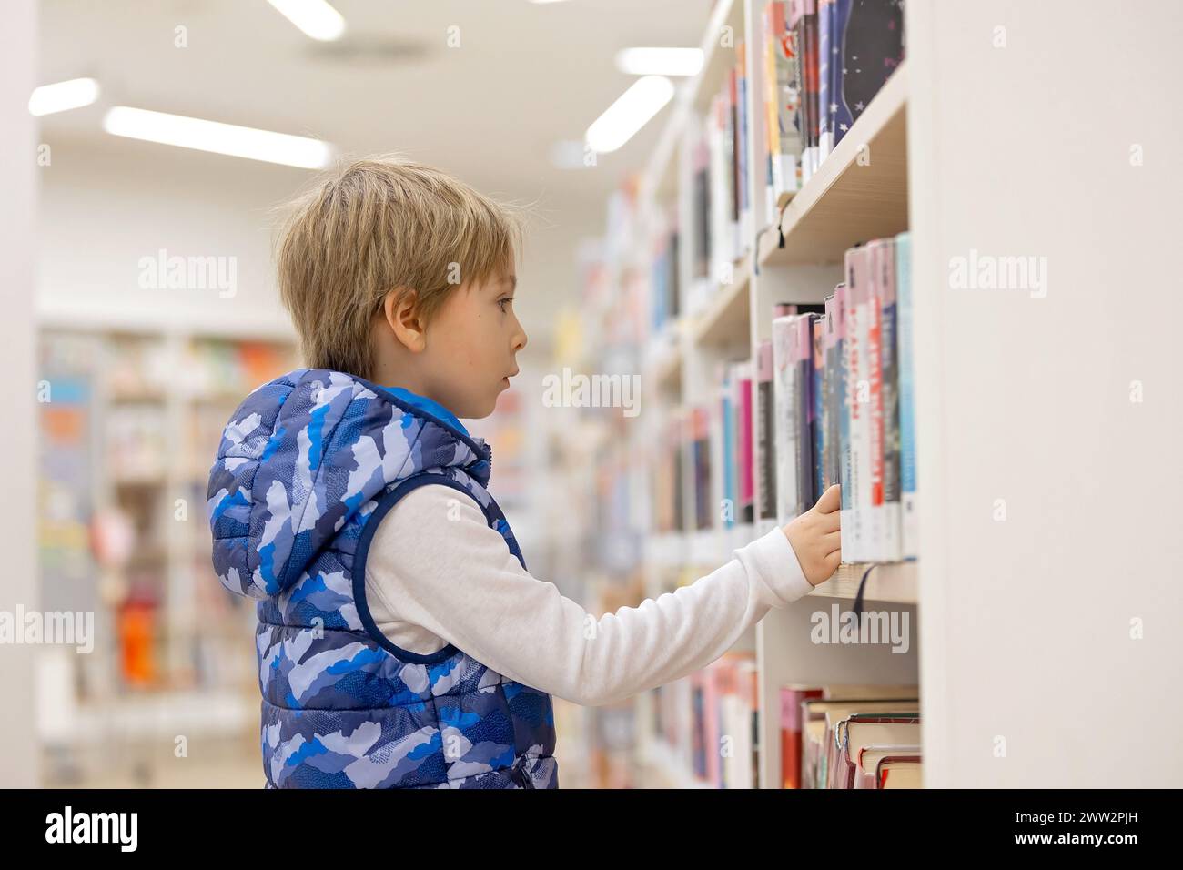 Smart child, school boy, educating himself in a library, borrowing ...