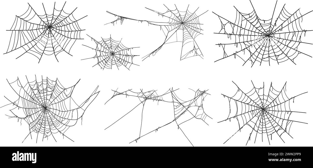 Spooky halloween old spider web with various sizes and shapes. Old ...