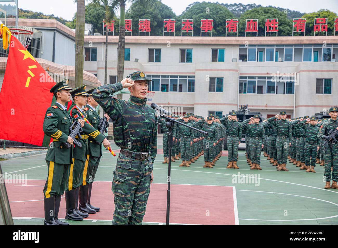 Members military line up hi-res stock photography and images - Alamy