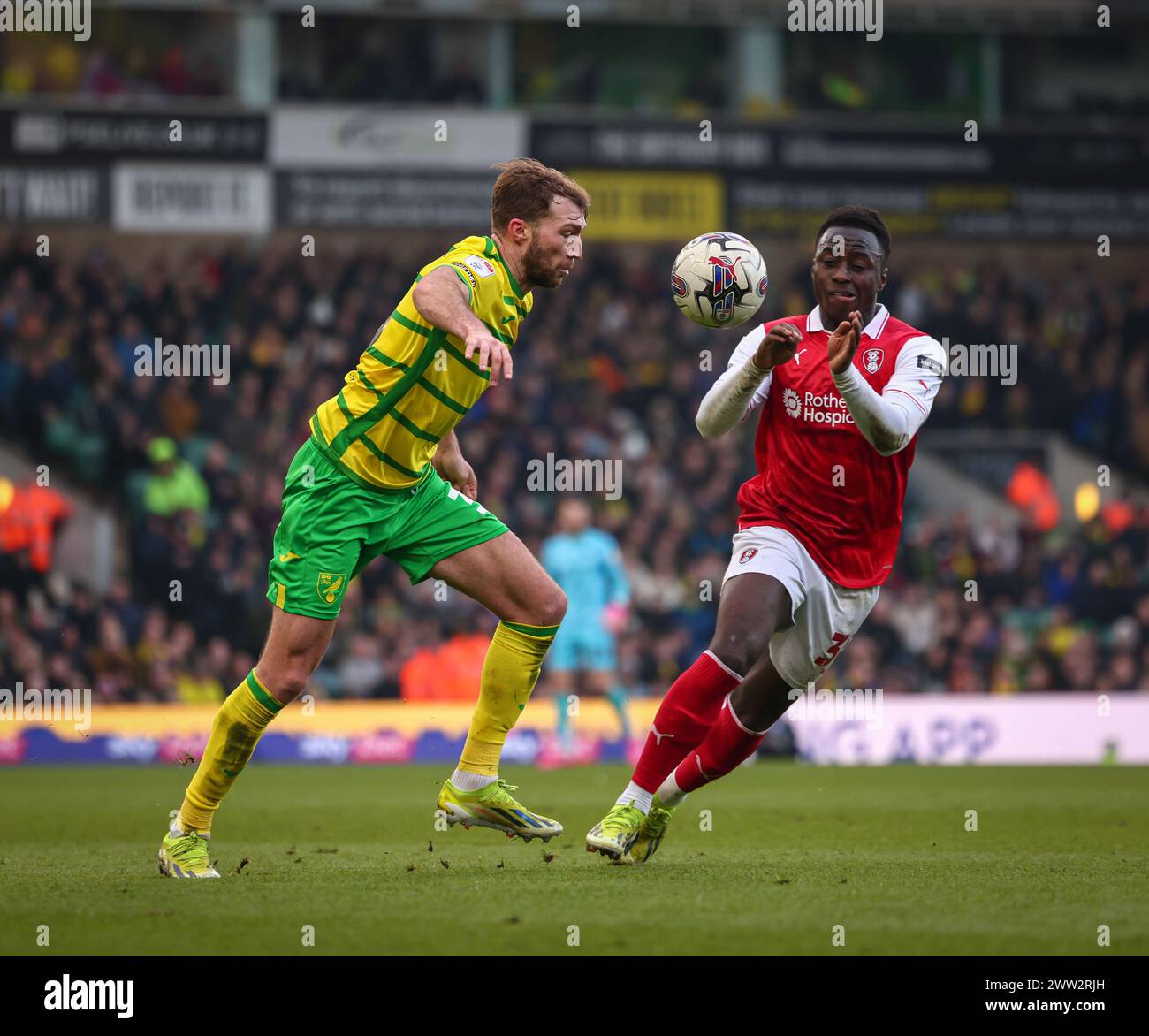 Jack Stacey of Norwich City- Norwich City v Rotherham United, Sky Bet ...