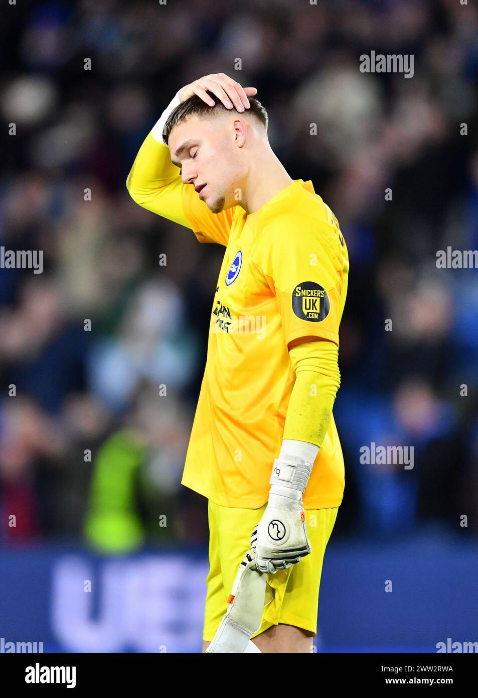 Bart verbruggen 2024 hi-res stock photography and images - Alamy