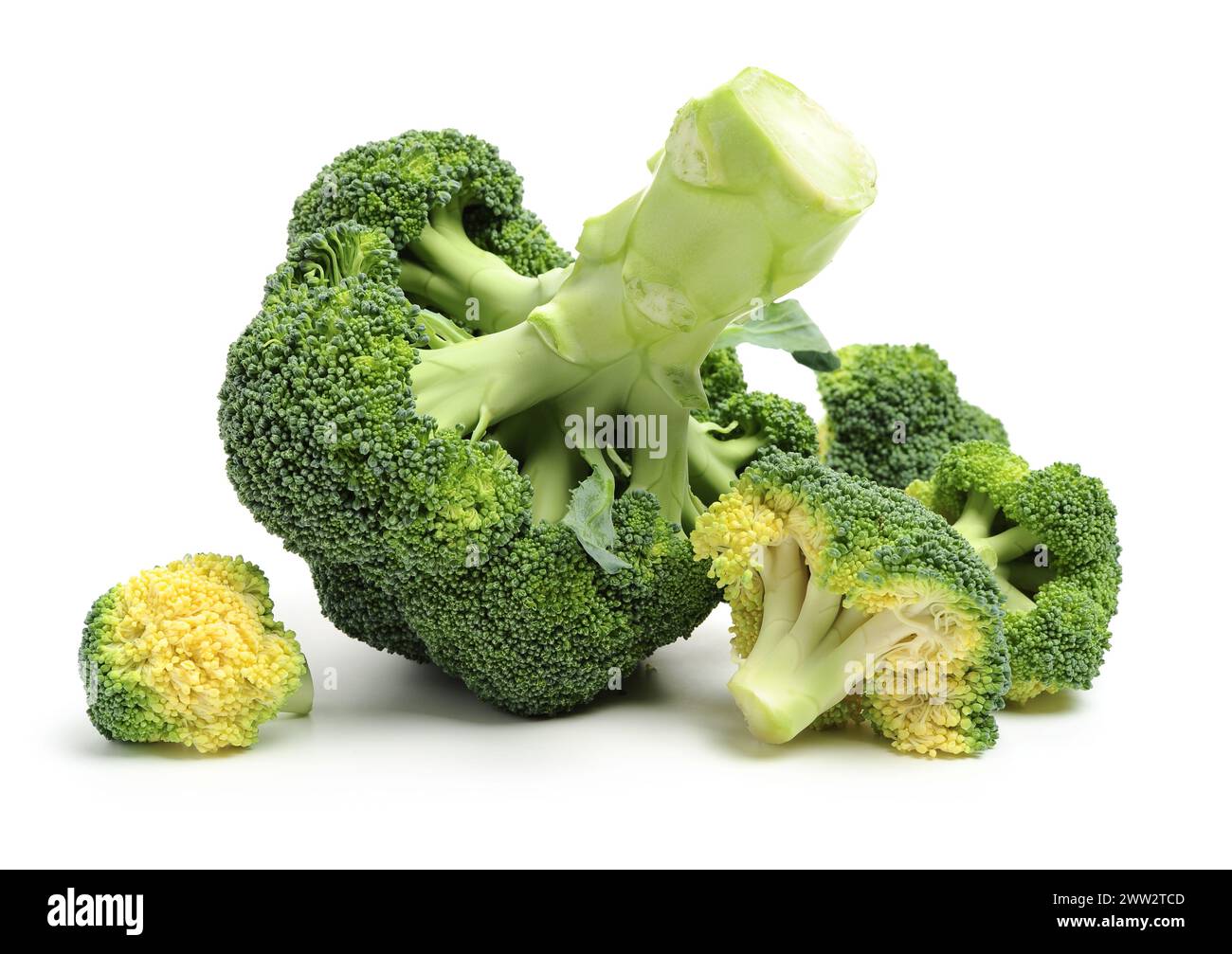 Broccoli vegetable isolated on white background Stock Photo - Alamy