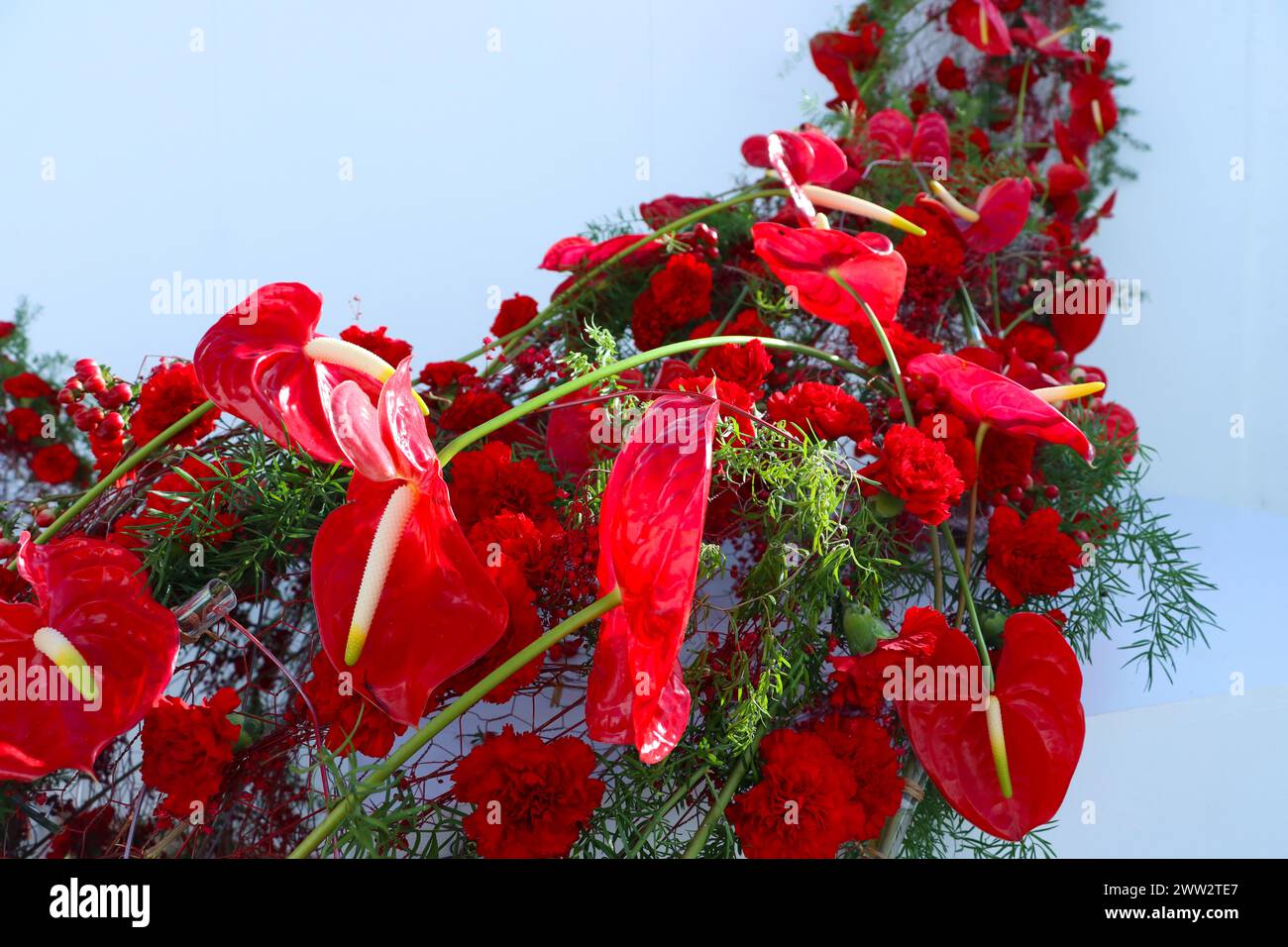 floral arrangement of red anthuriums. pascua florida guia de isora ...