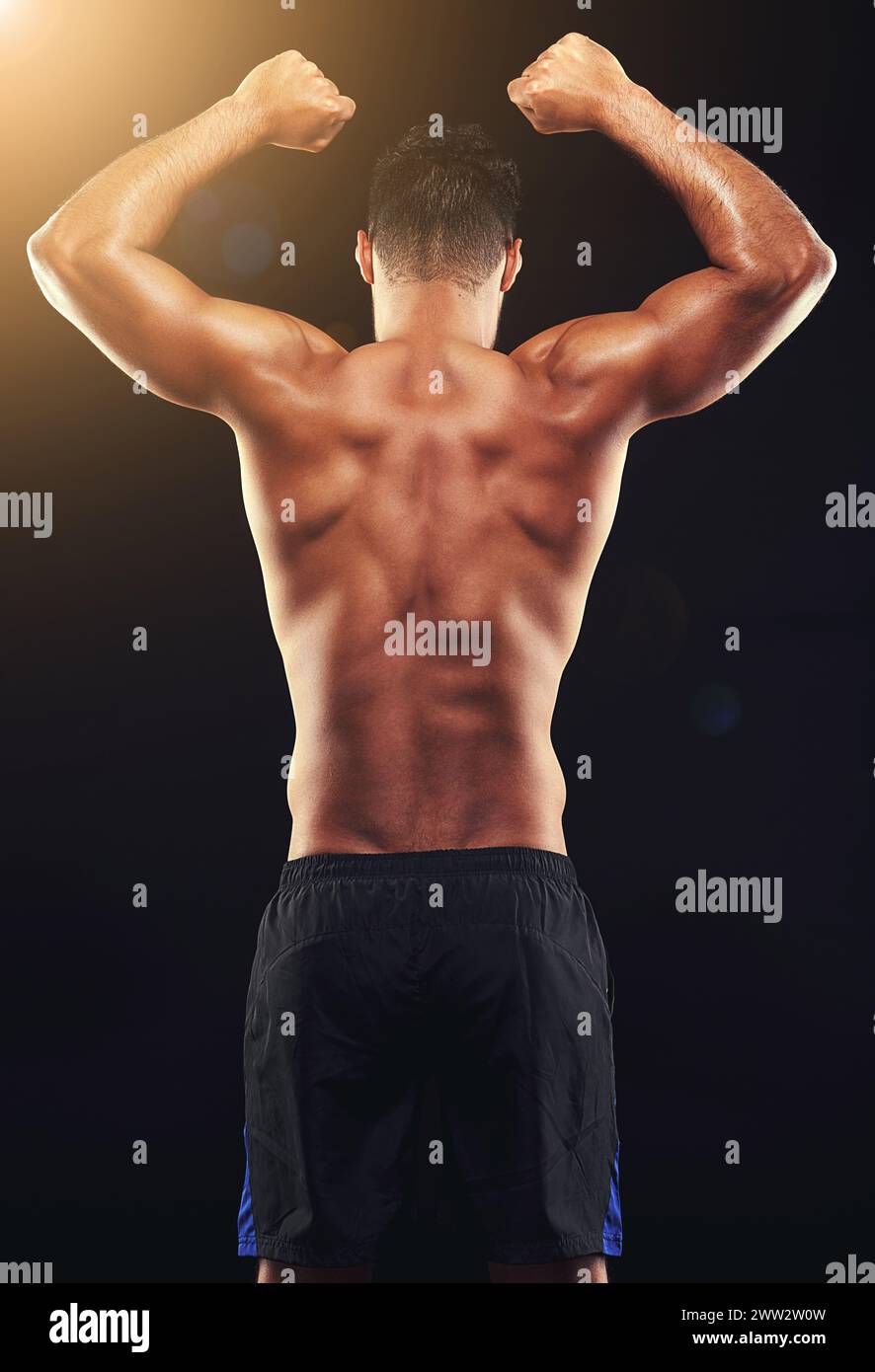 Fitness, back and man in studio with muscle, flex and workout routine ...