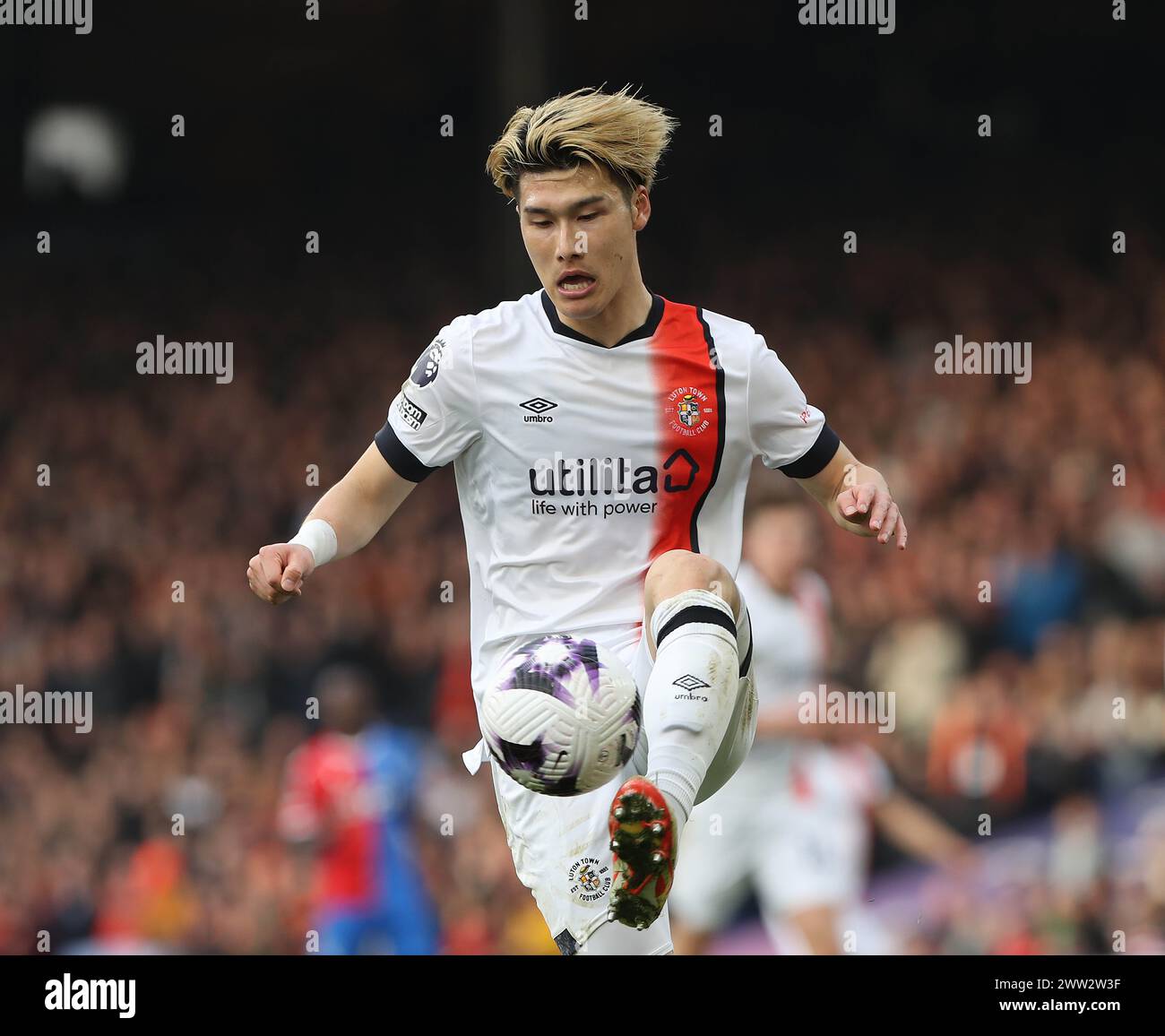 Daiki Hashioka of Luton Town. - Crystal Palace v Luton Town, Premier ...