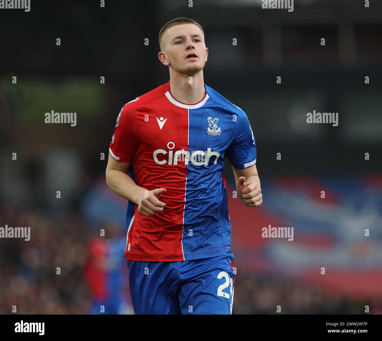 Adam Wharton of Crystal Palace. - Crystal Palace v Luton Town, Premier ...