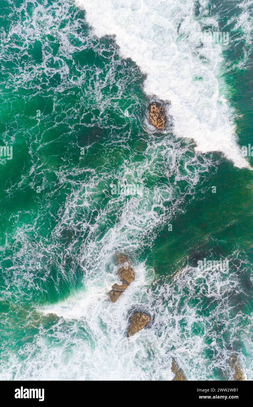 Top down bird hi-res stock photography and images - Alamy