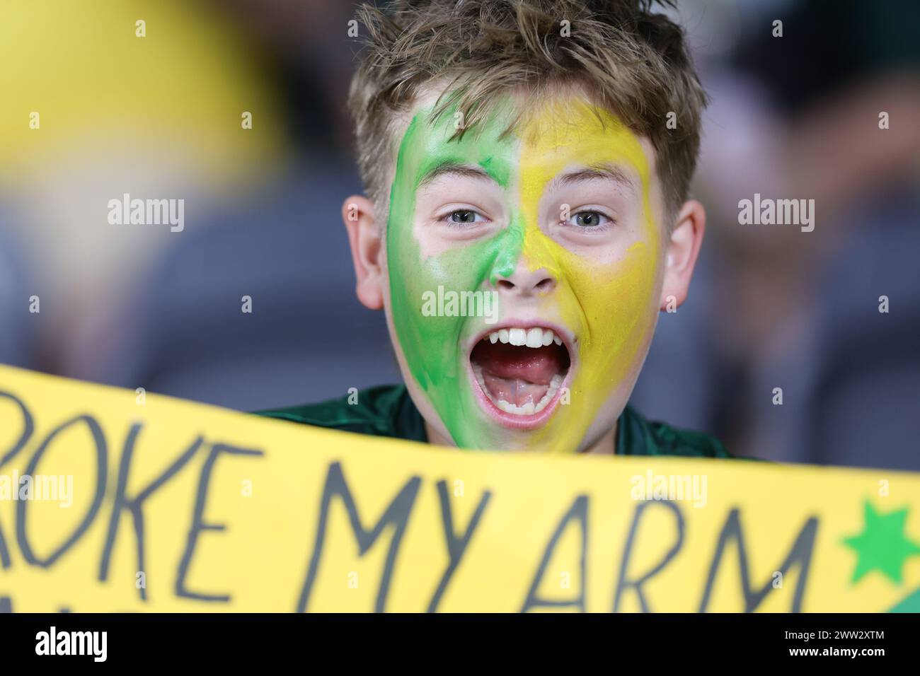 Socceroos fan hi-res stock photography and images - Alamy