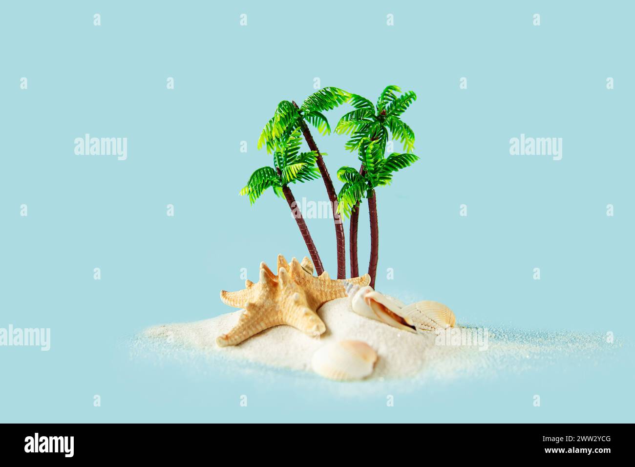 Island with palm trees, starfish and shells on a blue background ...