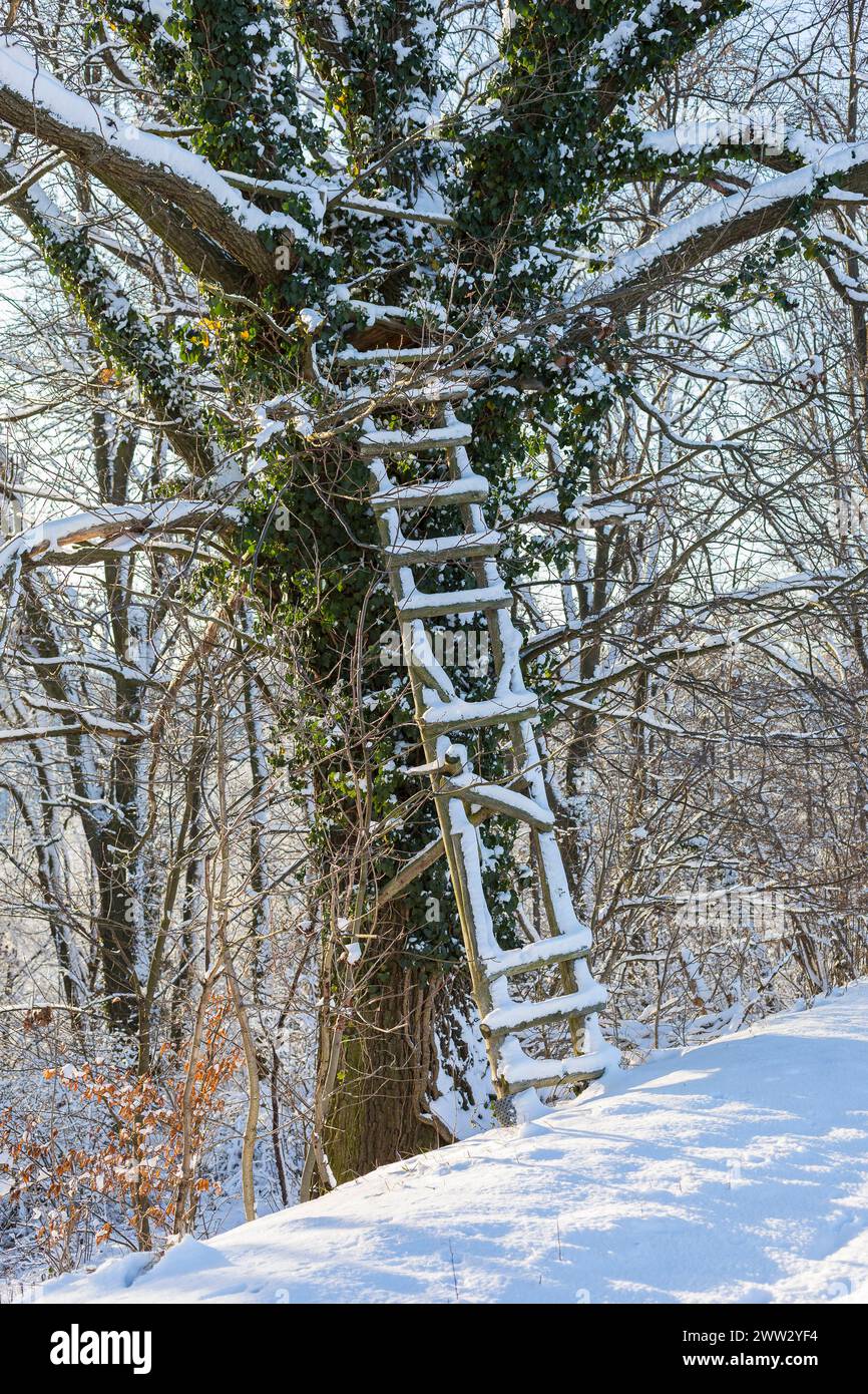 Defekte leiter hi-res stock photography and images - Alamy