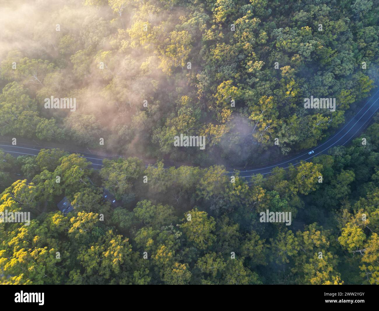 Sydney greenery hi-res stock photography and images - Alamy