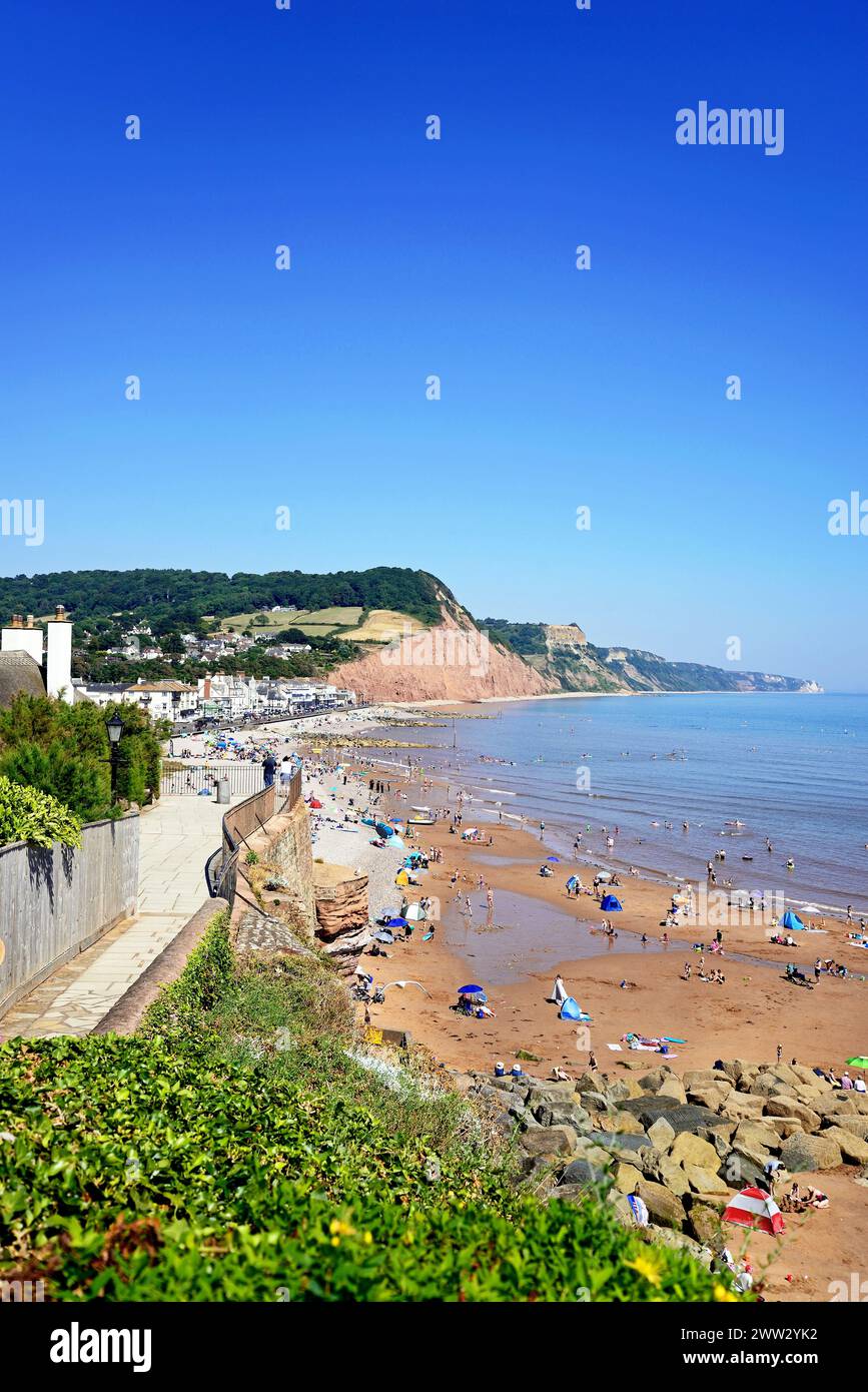 Elevated view along the beach with views of the town and Pennington ...