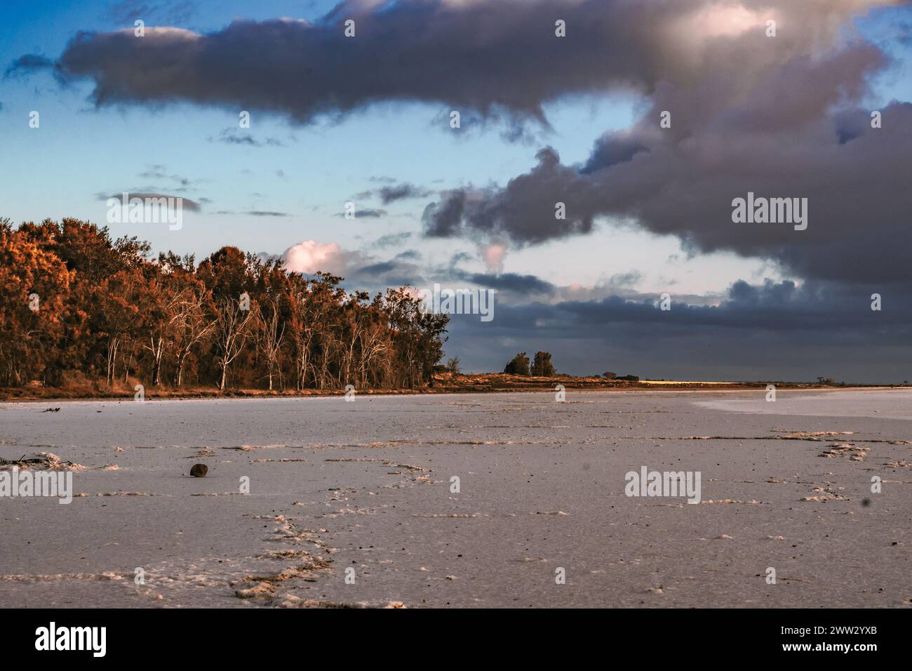 The setting sun casts a golden hue over the salt flats, highlighting ...