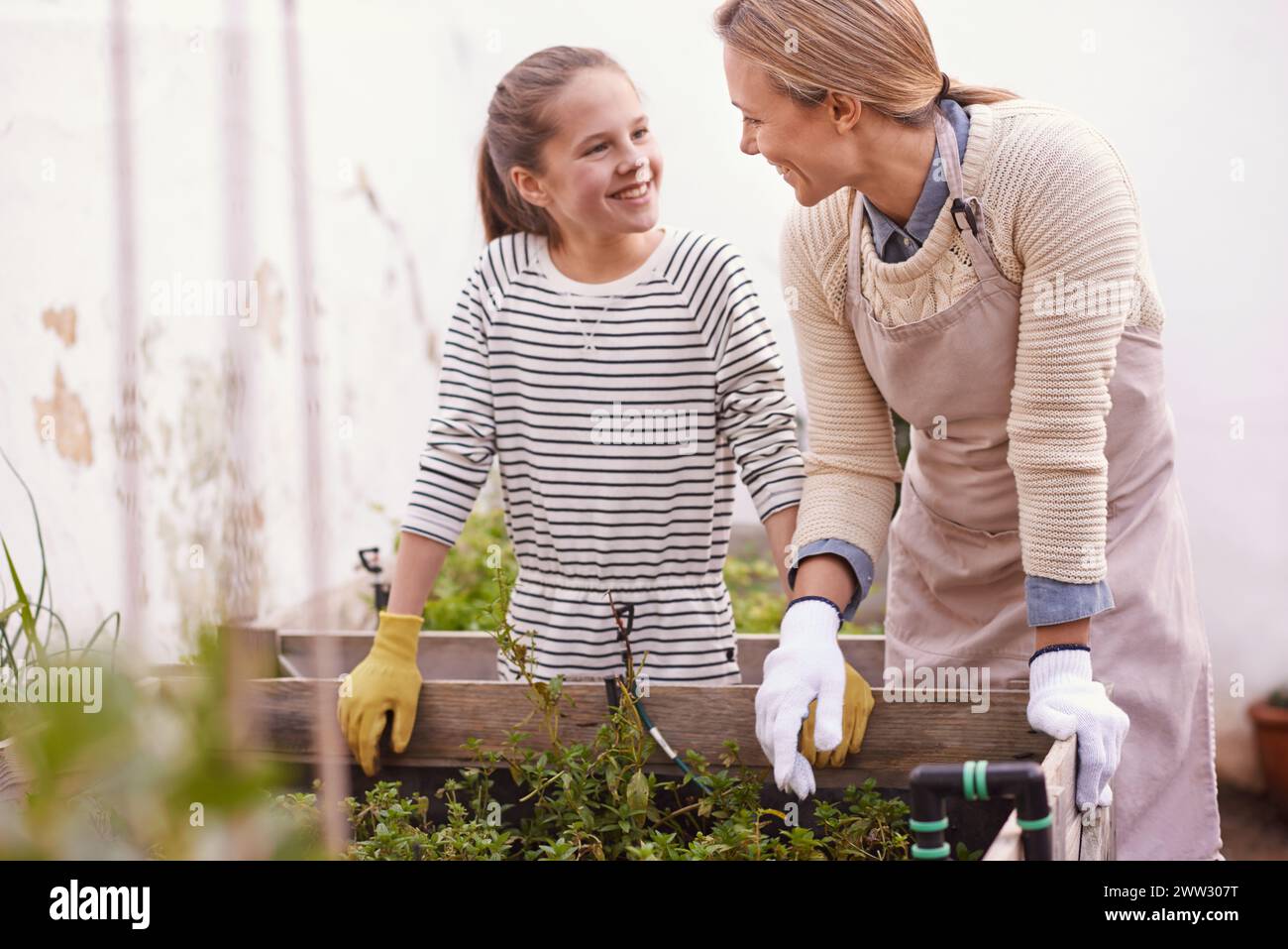 Learning, happy mother and kid gardening with plants, help or family ...