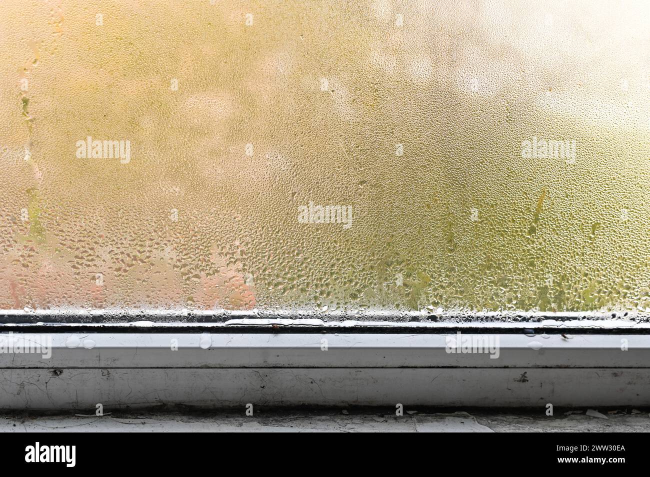 mold and mildew on a wet window Stock Photo - Alamy