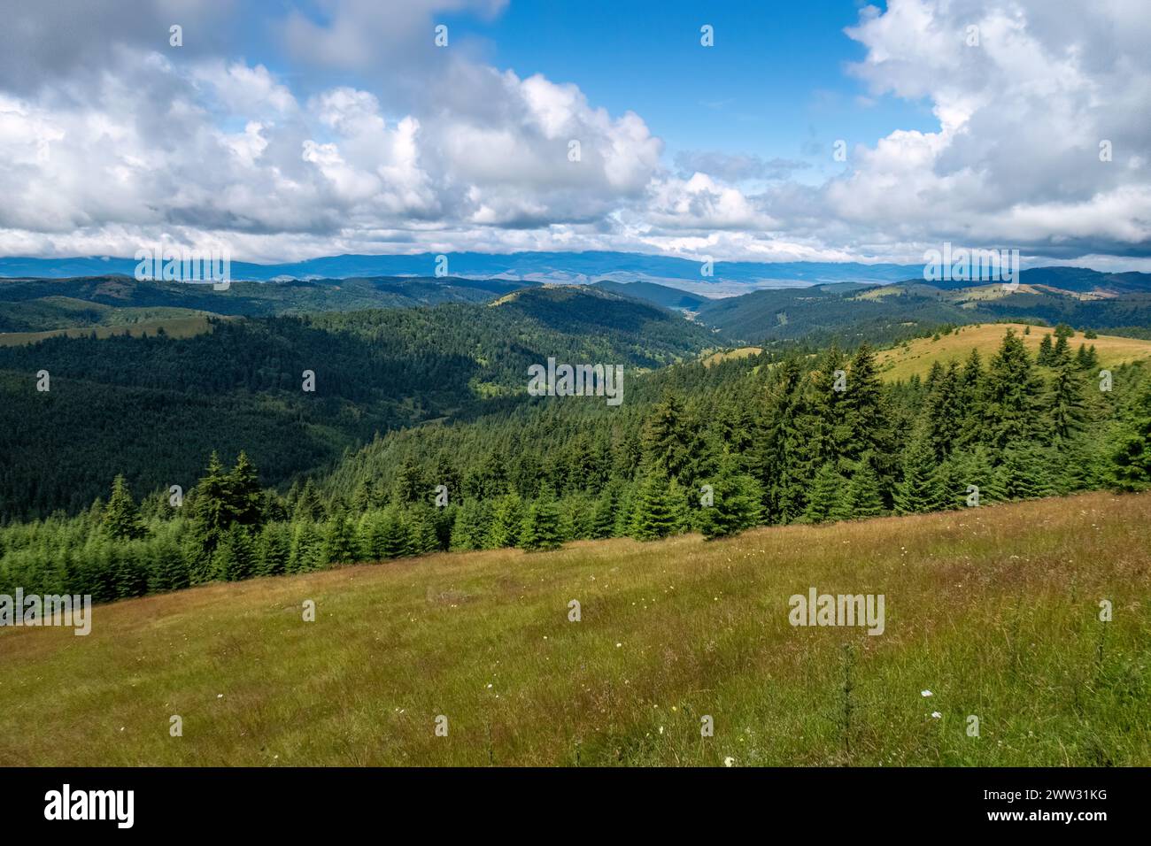 The Landscape of the Carpathian Mountains in Romania Stock Photo - Alamy