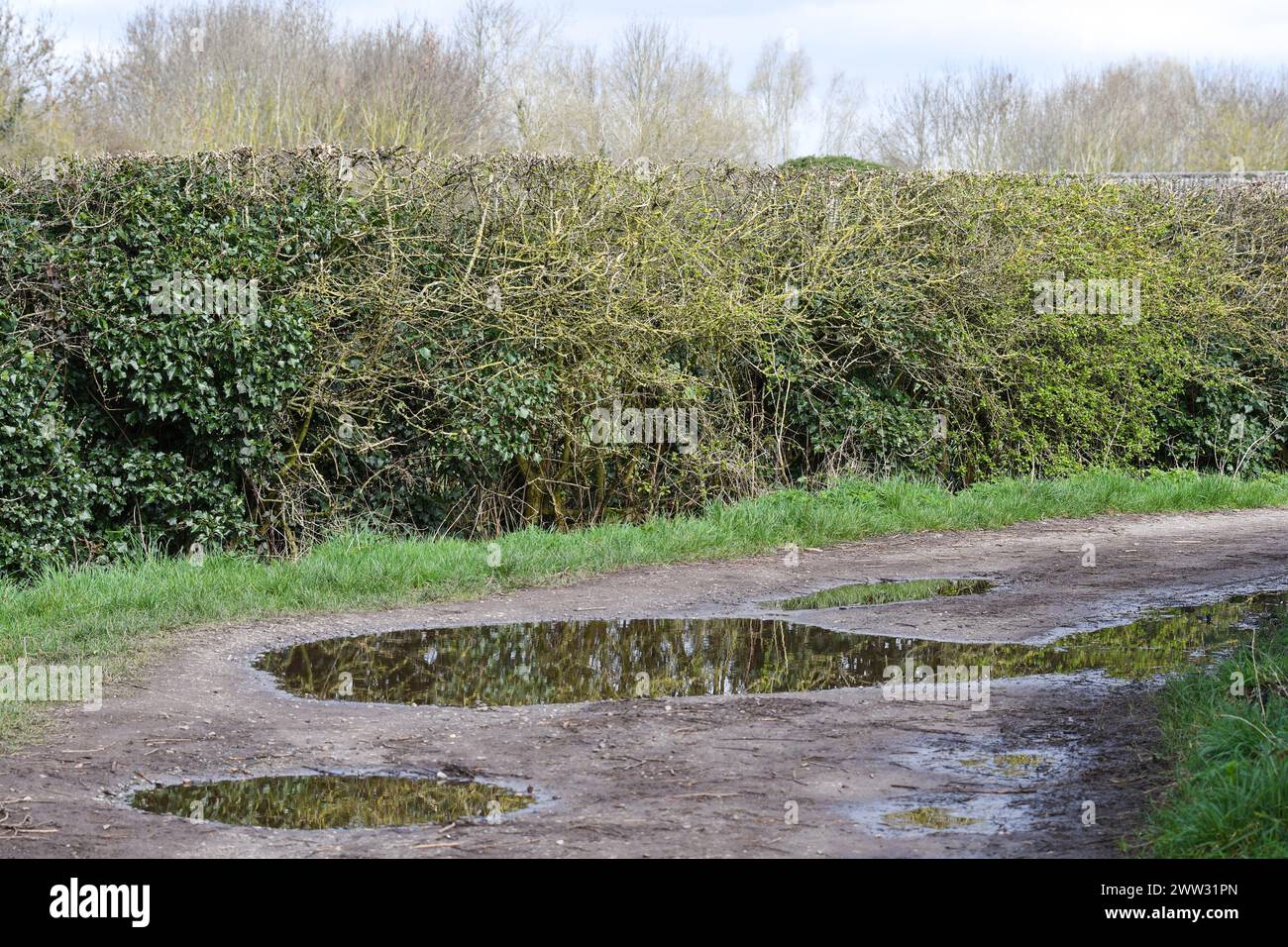 large puddles after heavy rain Stock Photo - Alamy