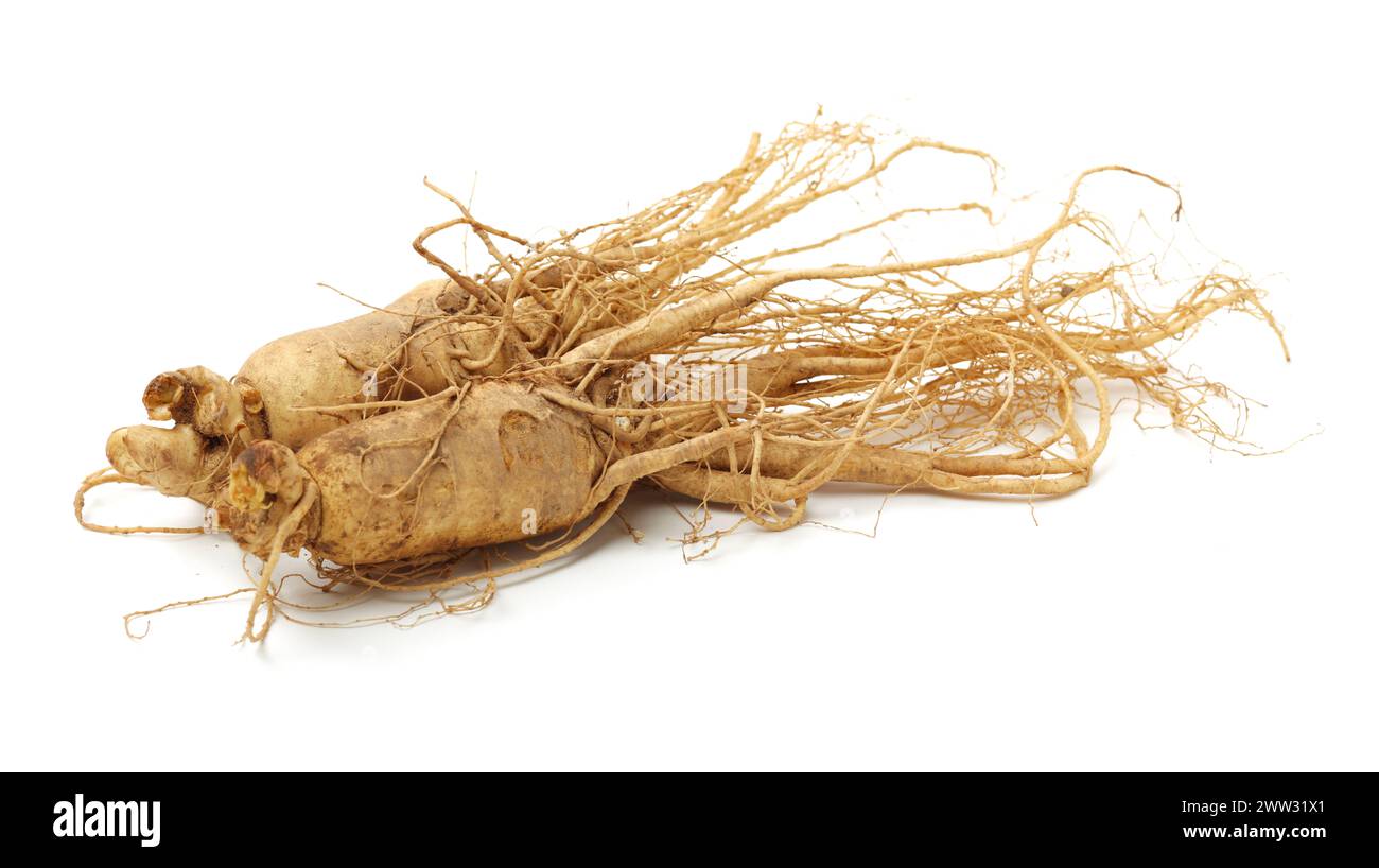 ginseng isolated on white background Stock Photo - Alamy